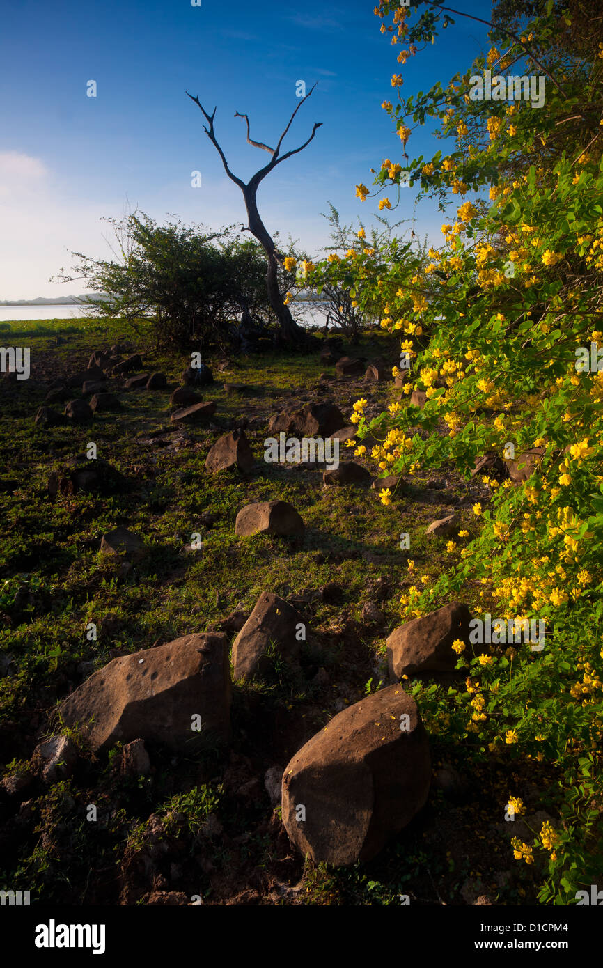 Cienaga las macanas hi-res stock photography and images - Alamy