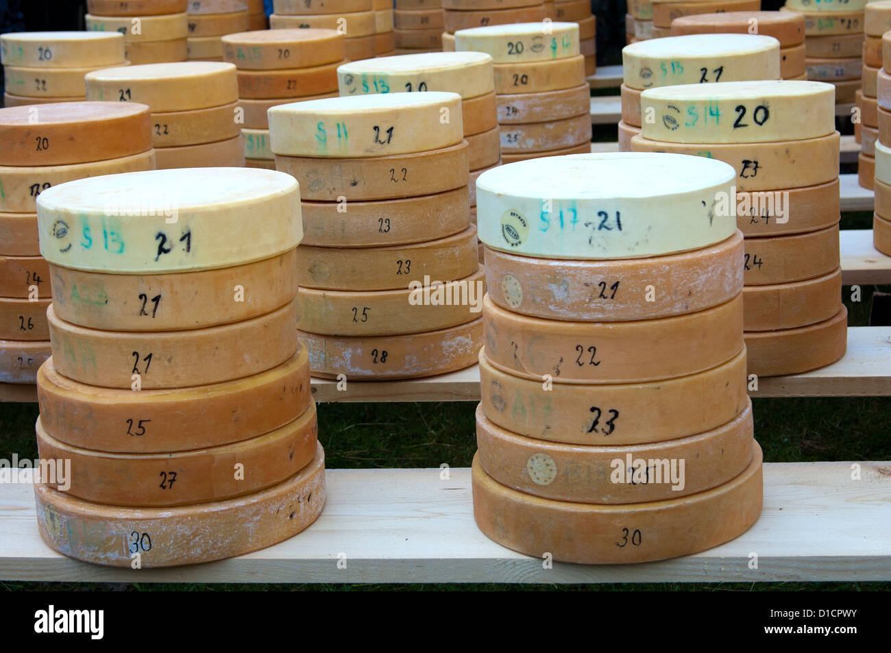 Piles of Swiss alpine cheese truckles Stock Photo - Alamy