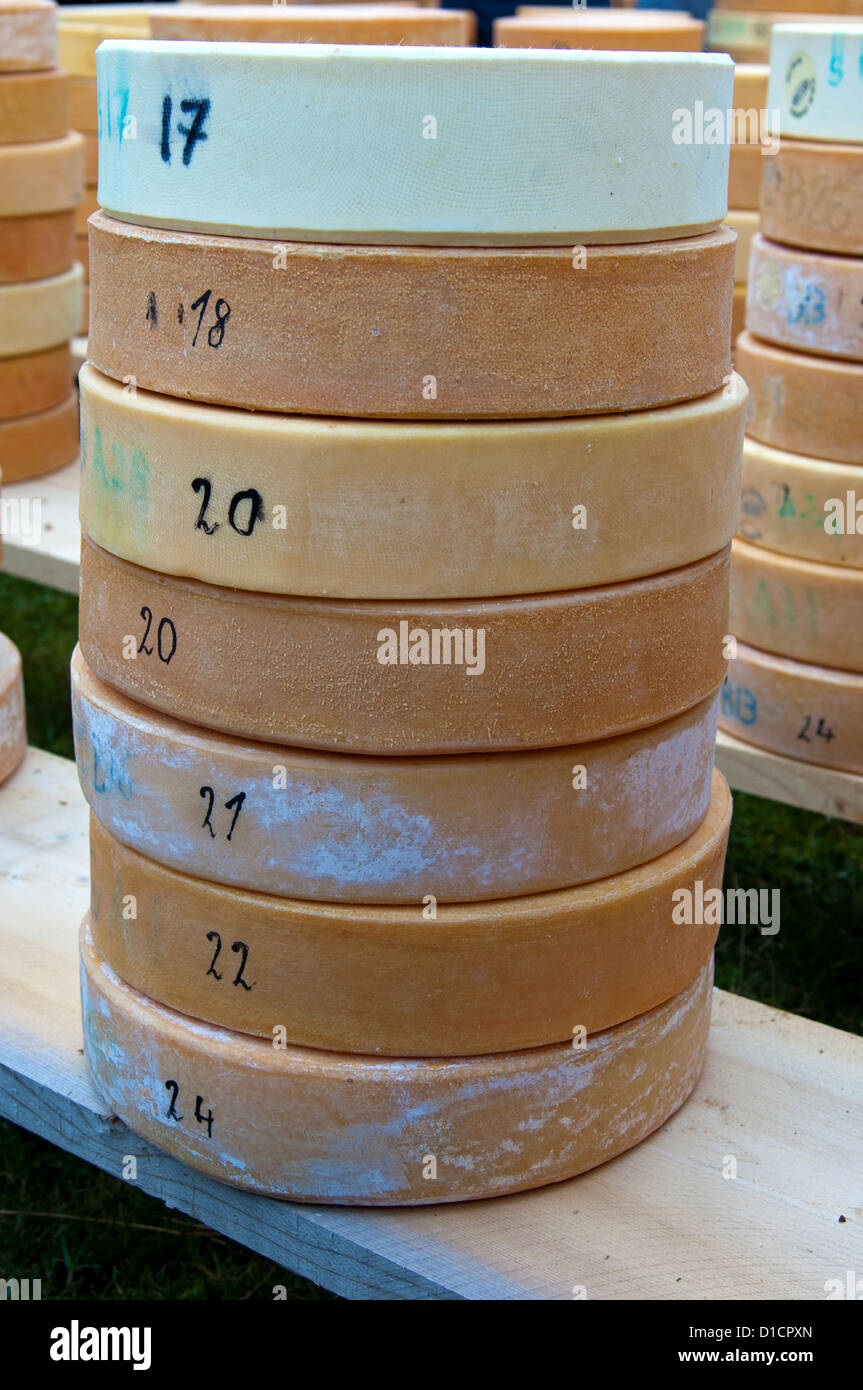 Pile of Swiss alpine cheese truckles at the Chästeilet event ...