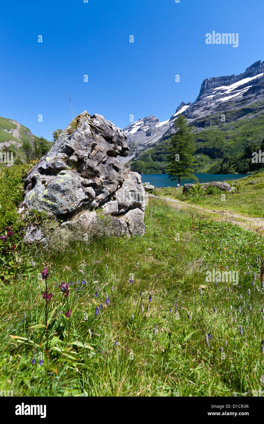 Alpine Landscape in the Suisse Alps, Europe Stock Photo - Alamy