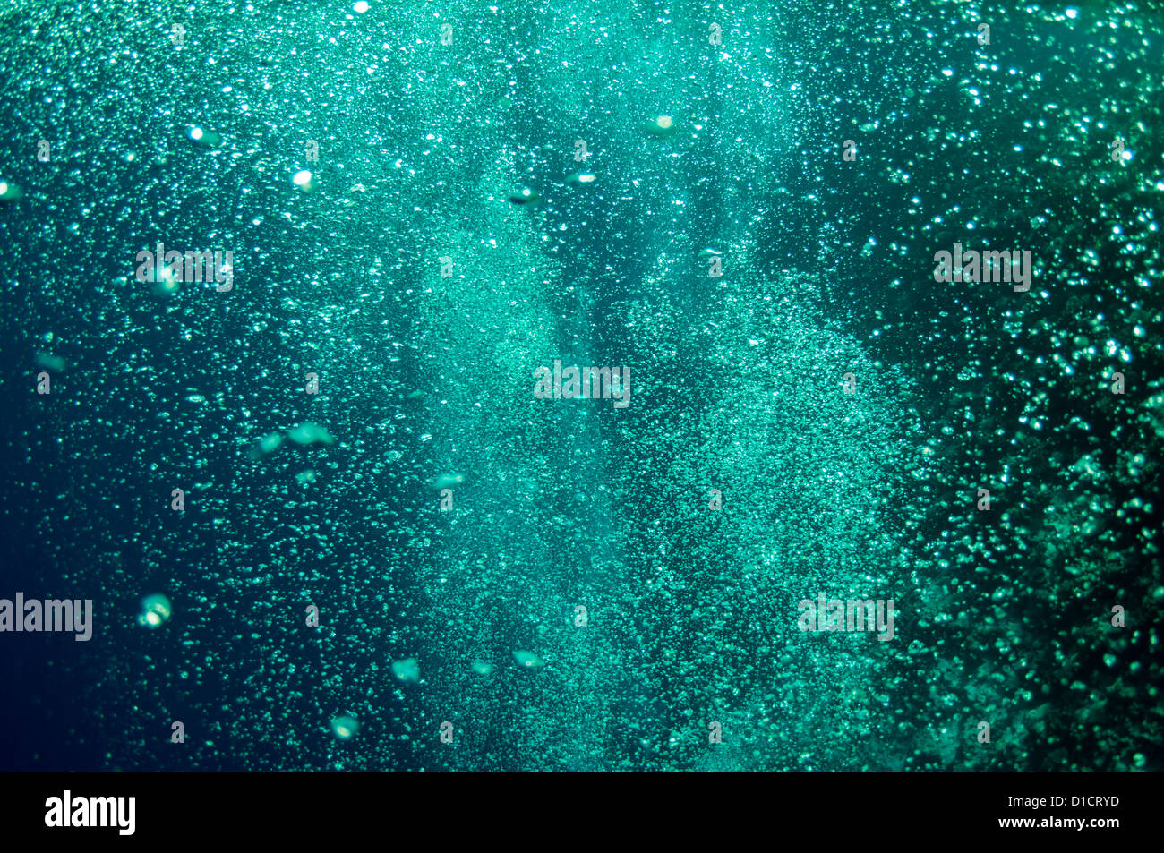 Blowing bubbles underwater hi-res stock photography and images - Alamy