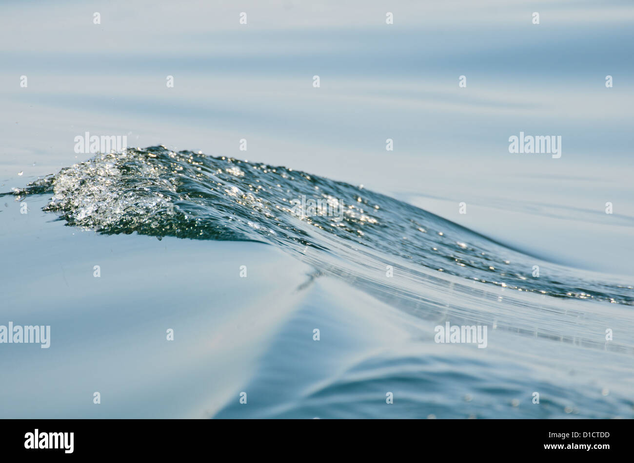 Shimmering Seawater, Close up of splash of water forming shape Stock ...