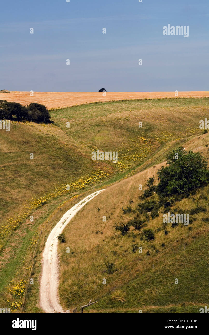 Dry chalk valley near Thixendale Yorkshire Wolds East Yorkshire England ...