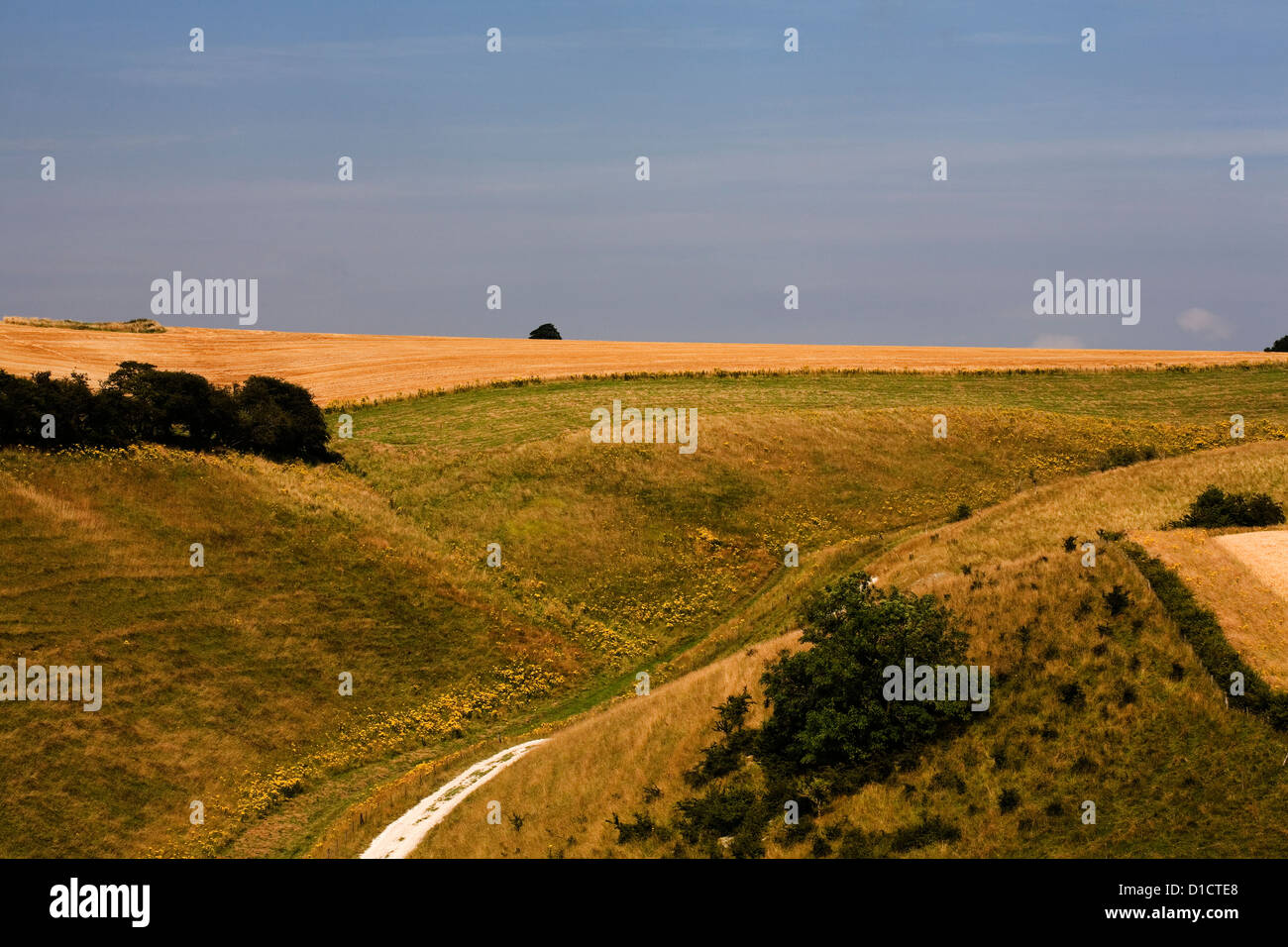 Dry chalk valley near Thixendale Yorkshire Wolds East Yorkshire England ...
