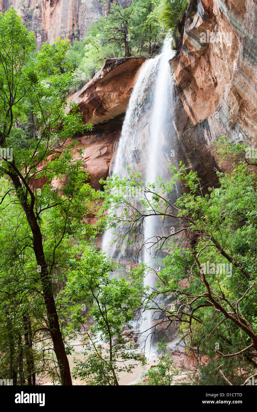 Emerald pool trail zion np hi-res stock photography and images - Alamy