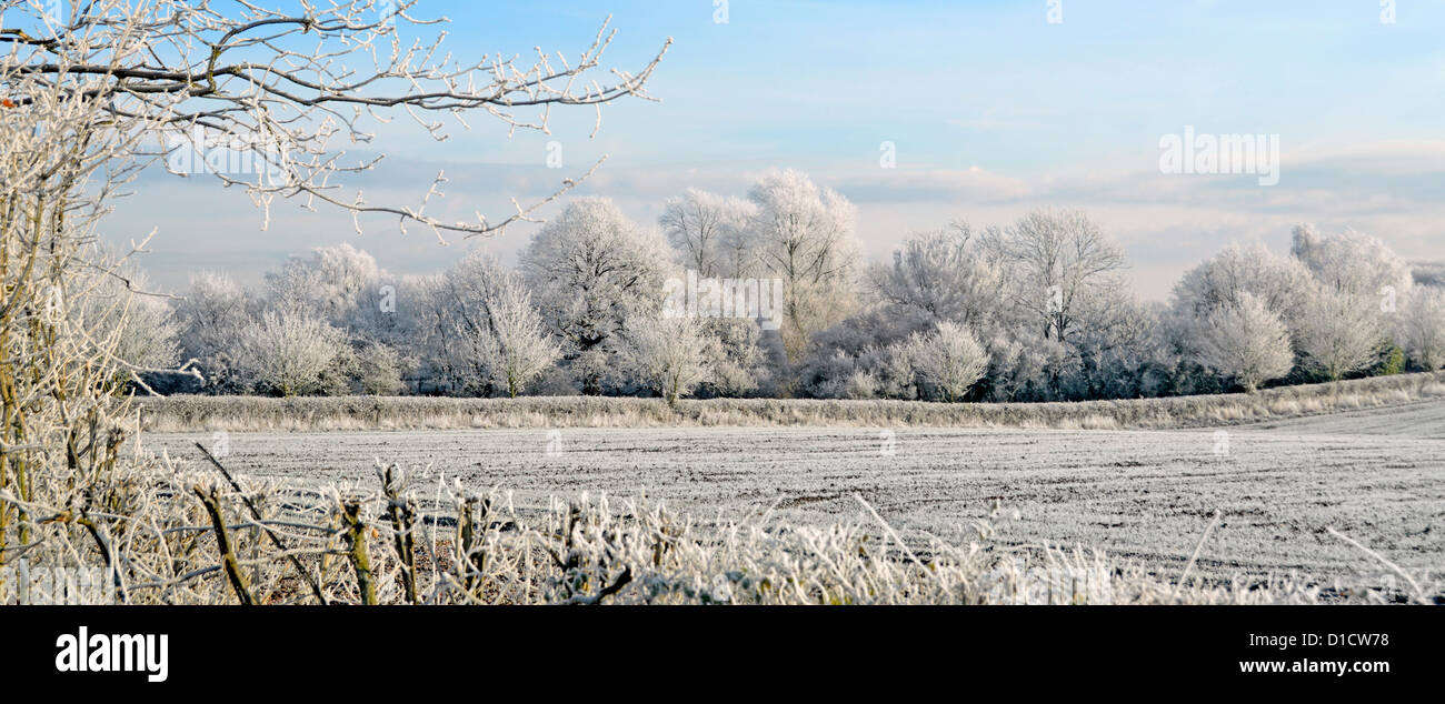 Winter weather wonderland in countryside woodland trees in farmland ...