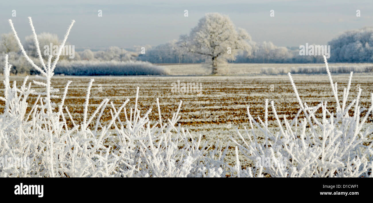 Winter countryside rural landscape hi-res stock photography and images ...