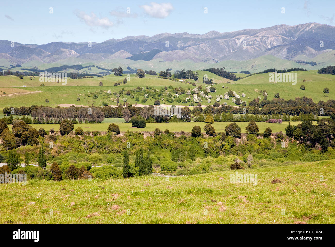 Ruahine range hi-res stock photography and images - Alamy