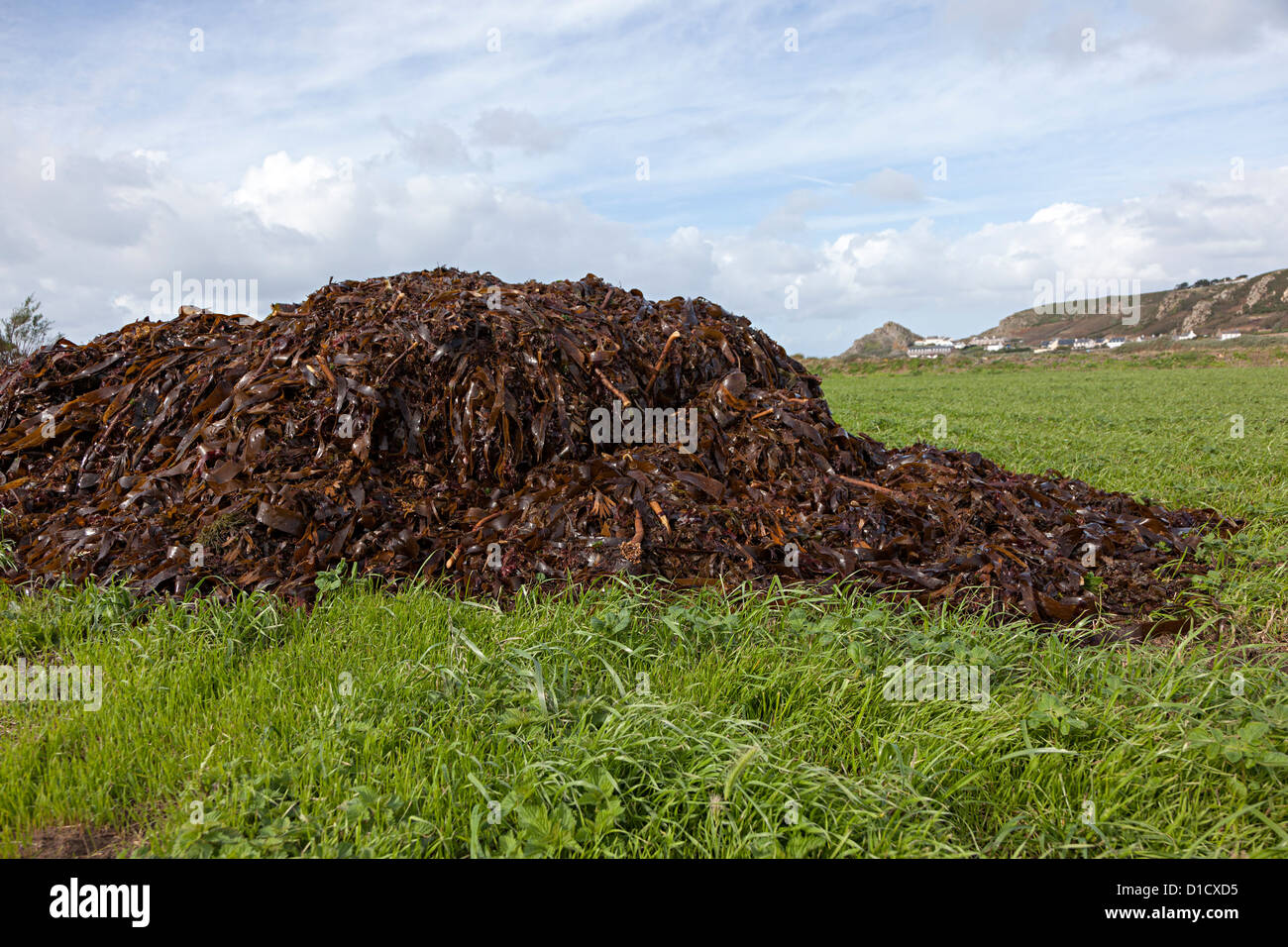 Vraick hi-res stock photography and images - Alamy
