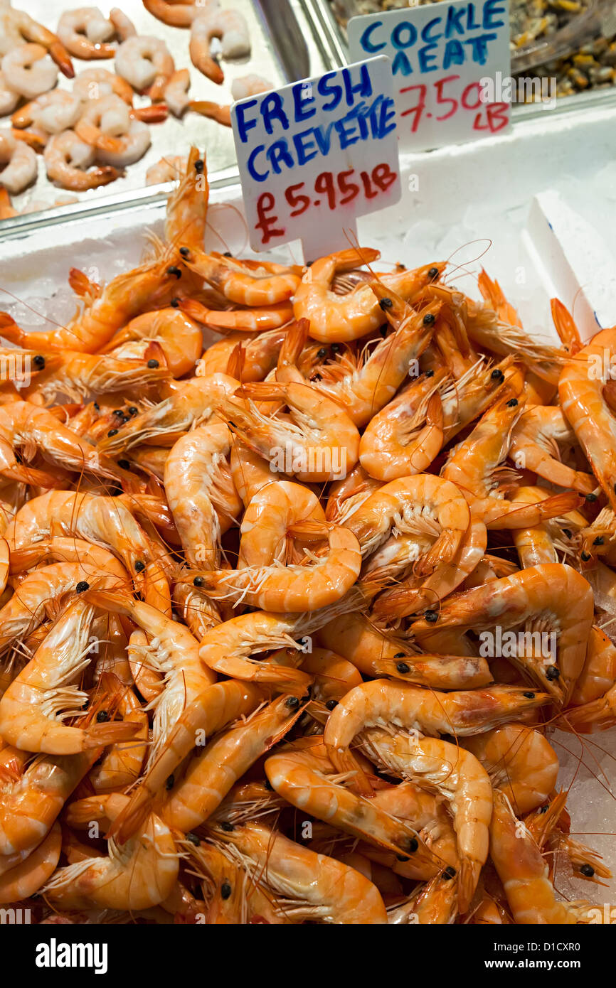 Fresh crevette prawns with price label on sale in fishmonger, central ...