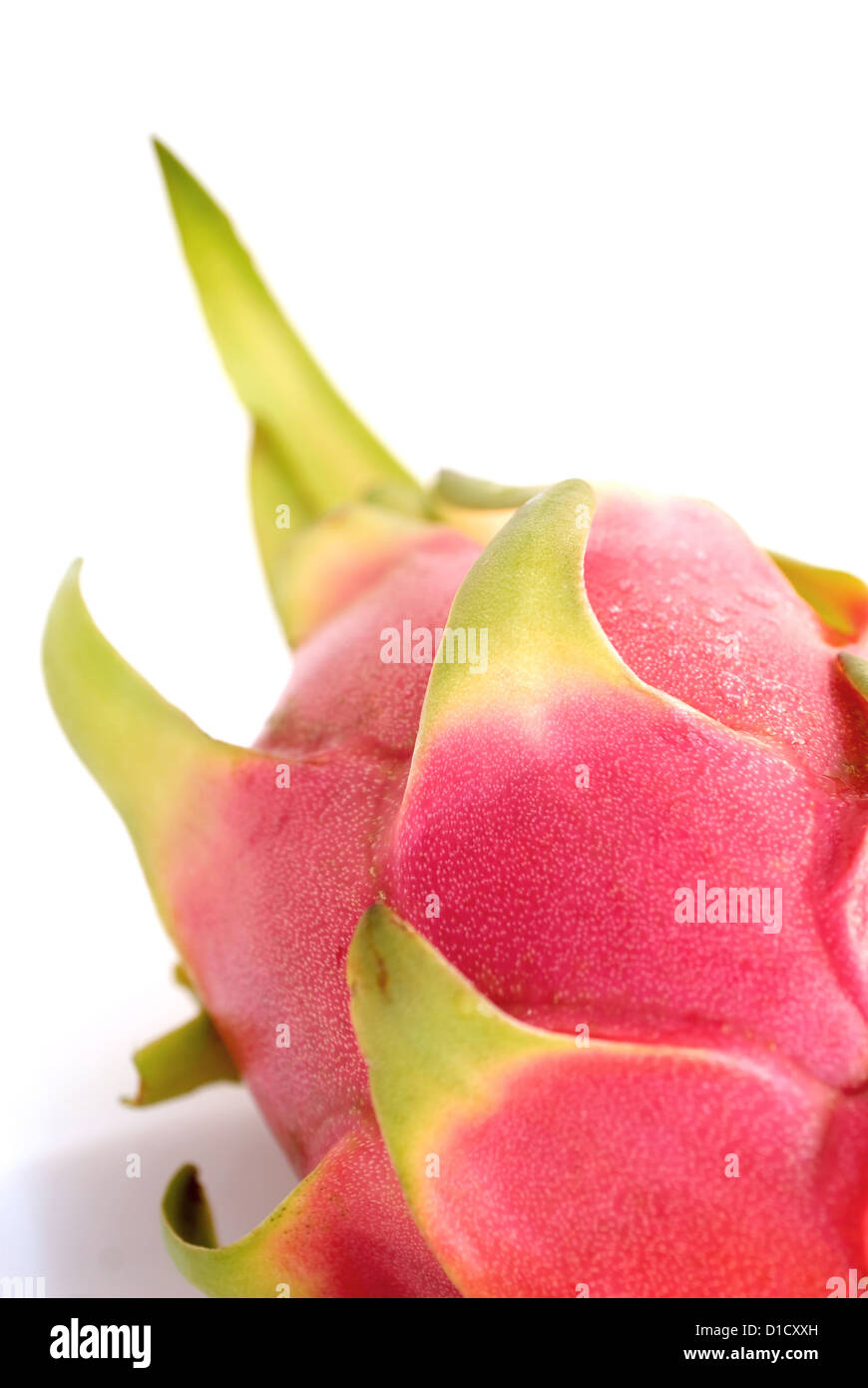 Pitahaya hi-res stock photography and images - Alamy