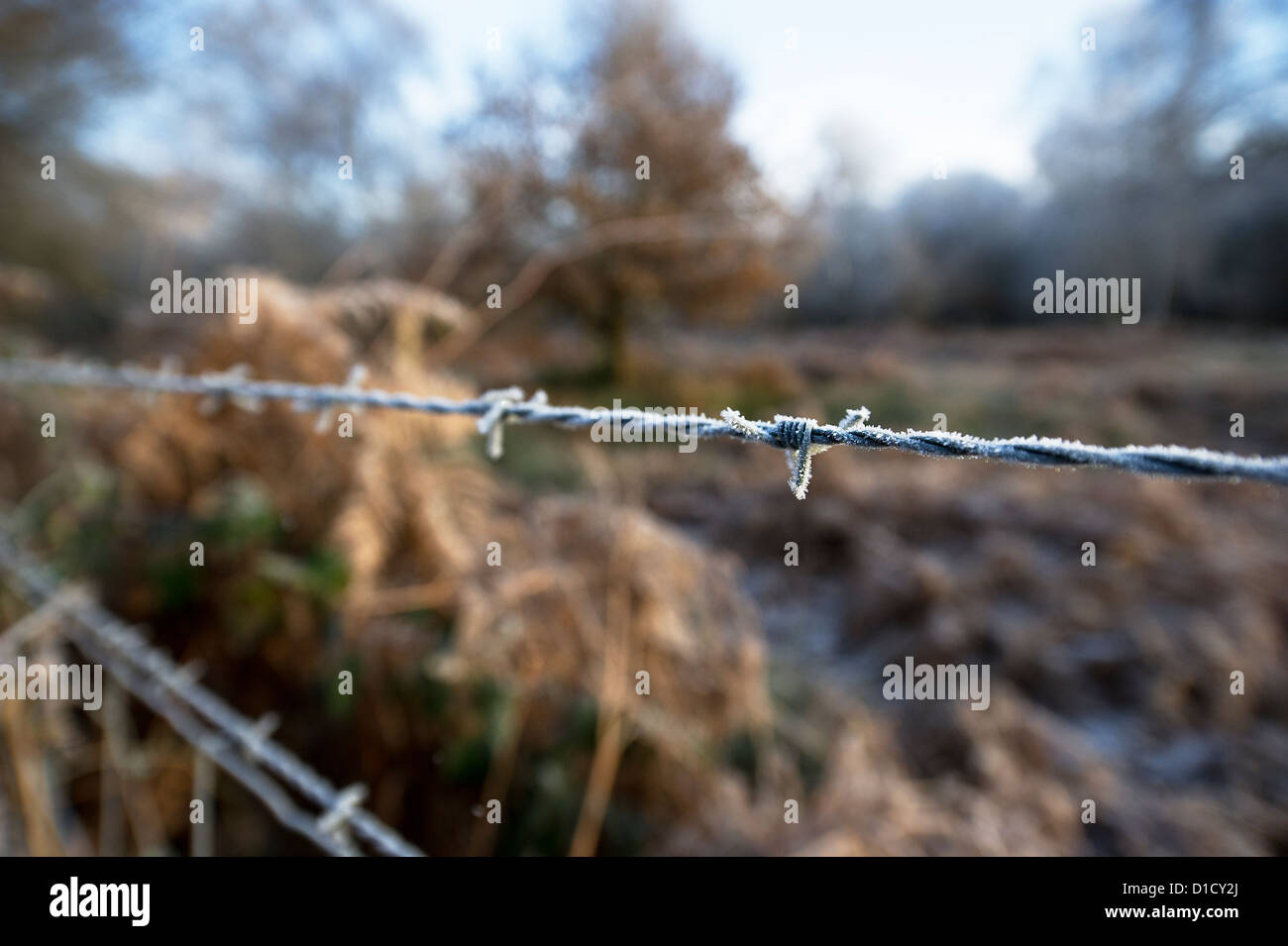 Strand of wire hi-res stock photography and images - Alamy