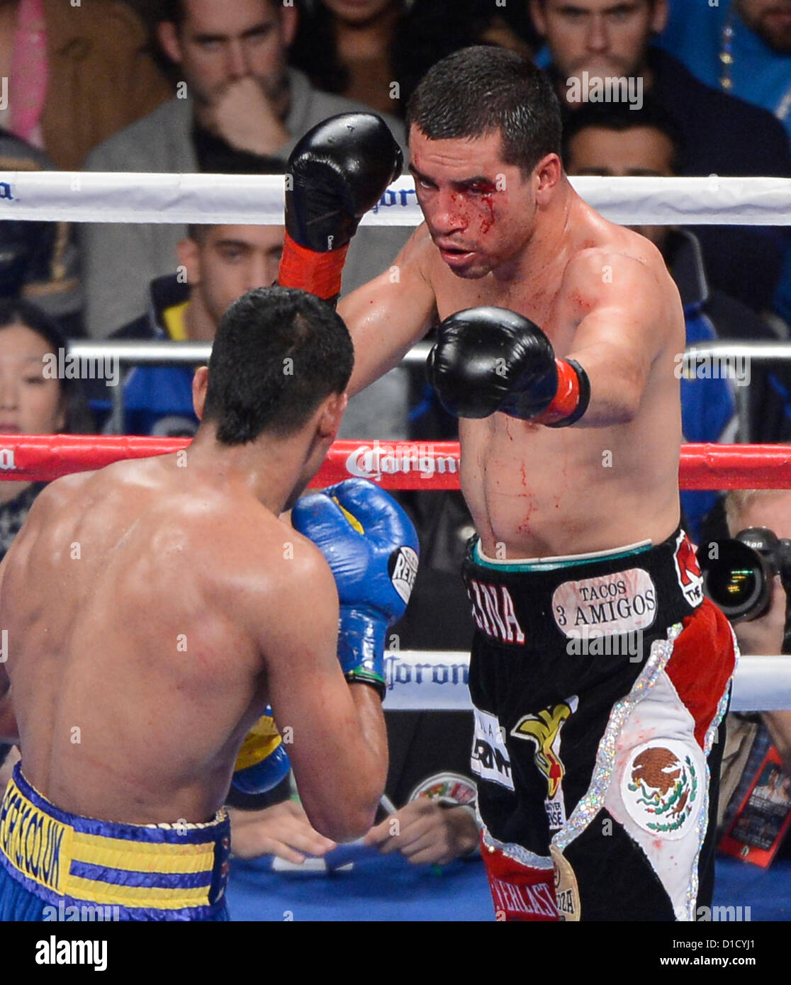 Boxing molina hi-res stock photography and images - Alamy