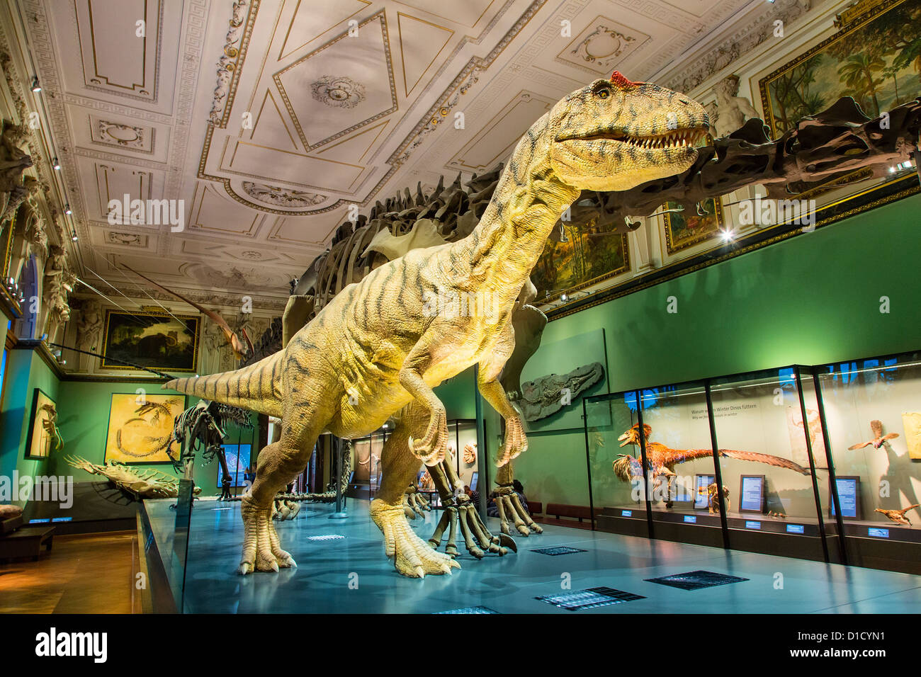 Austria, Vienna, Natural History Museum Stock Photo - Alamy