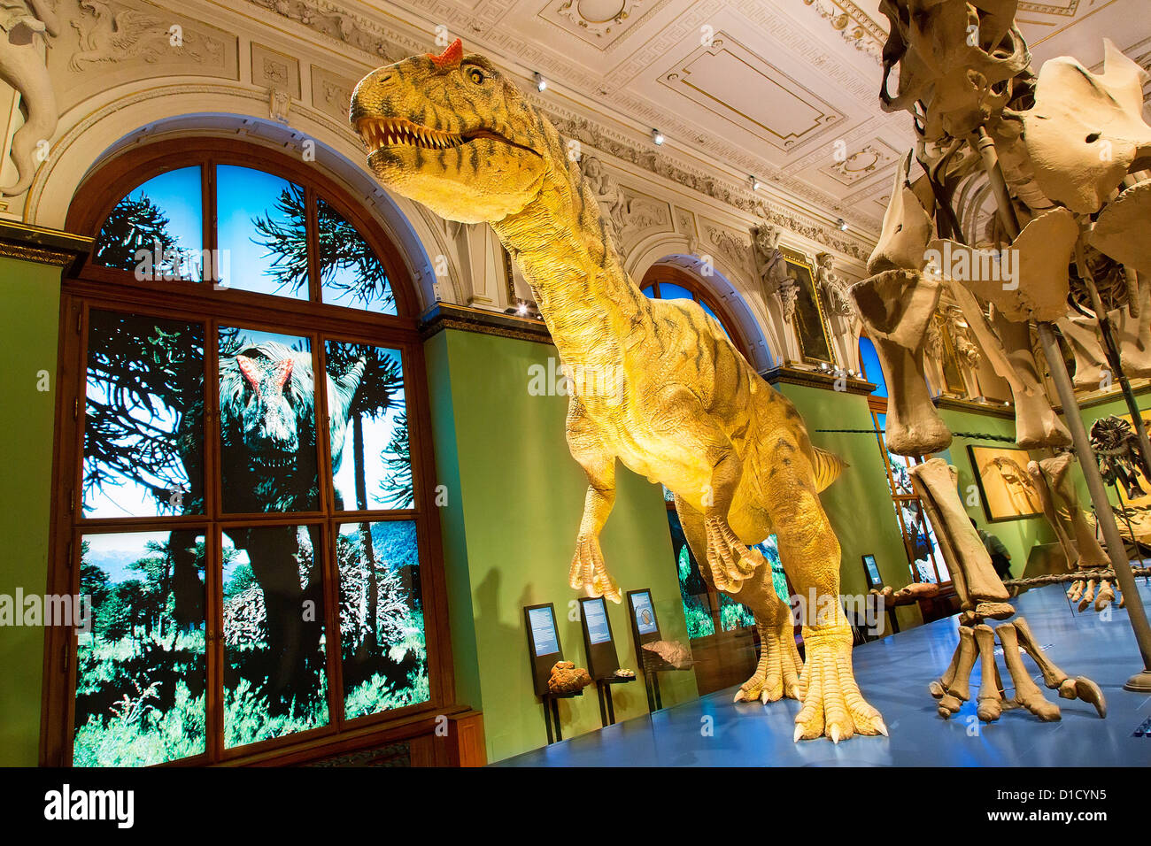 Austria, Vienna, Natural History Museum Stock Photo - Alamy