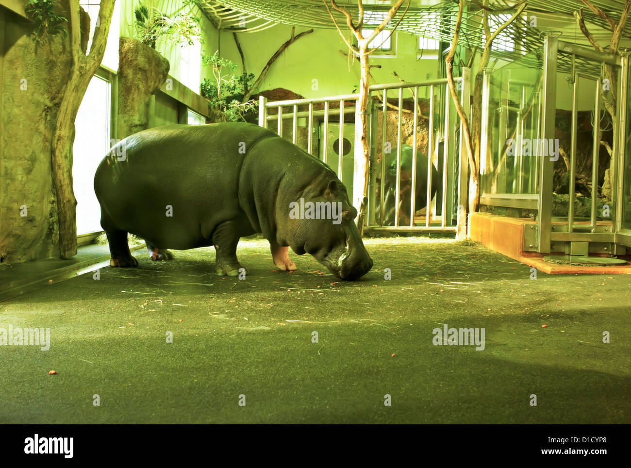 -Shönbrunn Zoo- Vienna (Austria Stock Photo - Alamy
