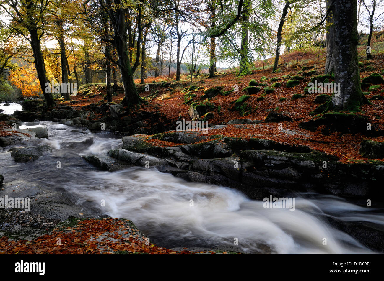 Cloghleagh River County Wicklow Ireland autumn fall color colour ...