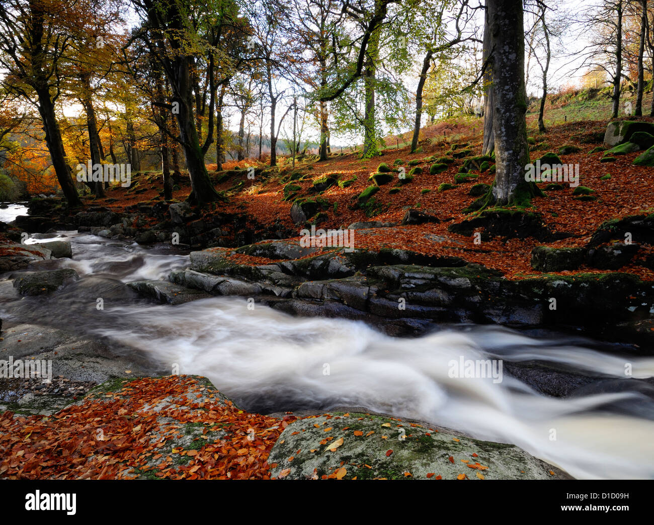Cloghleagh River County Wicklow Ireland autumn fall color colour ...
