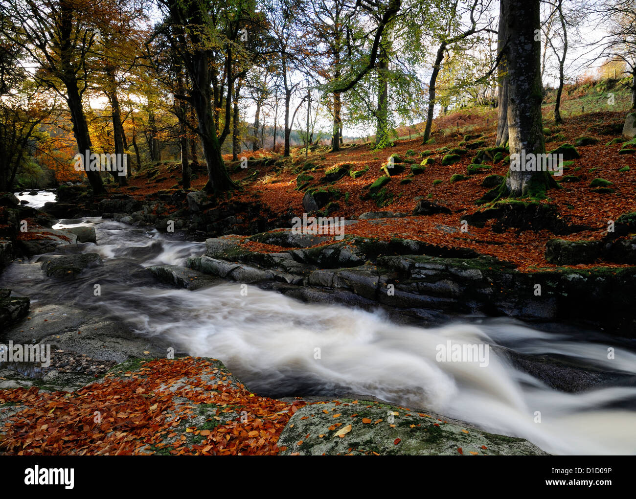 Cloghleagh River County Wicklow Ireland autumn fall color colour ...
