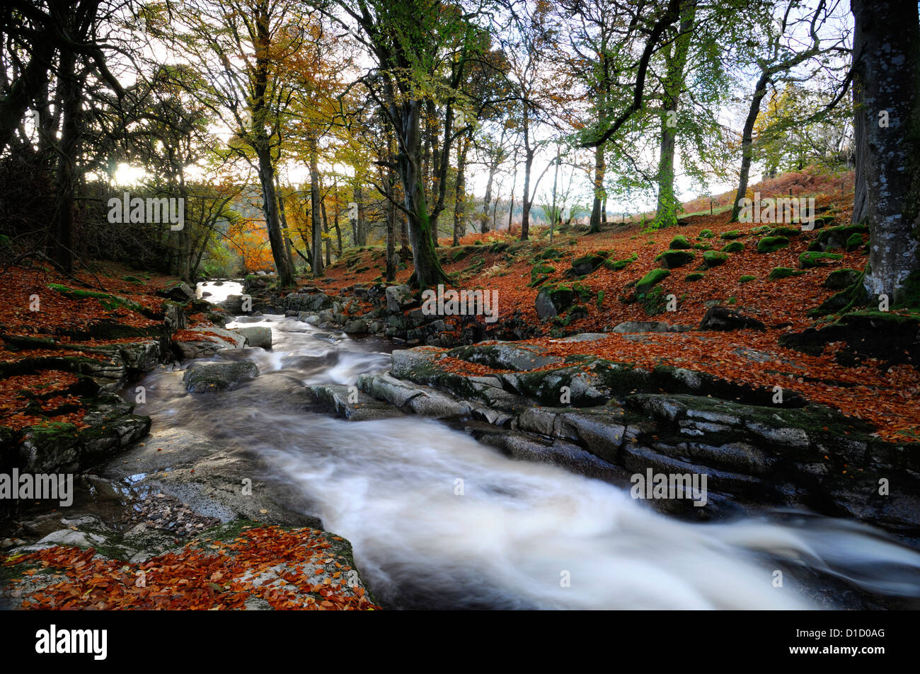 Cloghleagh River County Wicklow Ireland autumn fall color colour ...