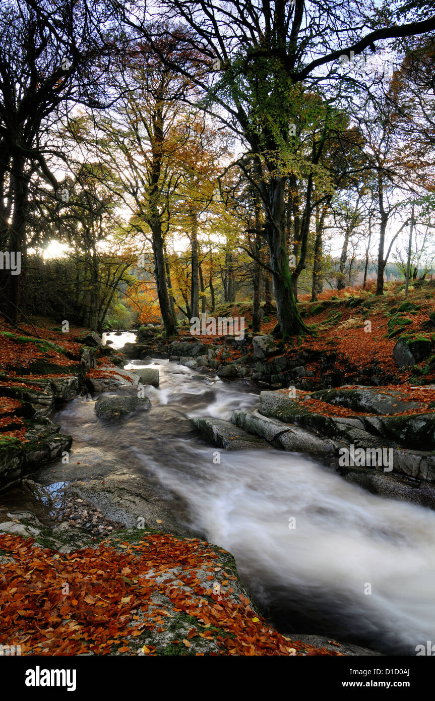 Wicklow colours hi-res stock photography and images - Alamy