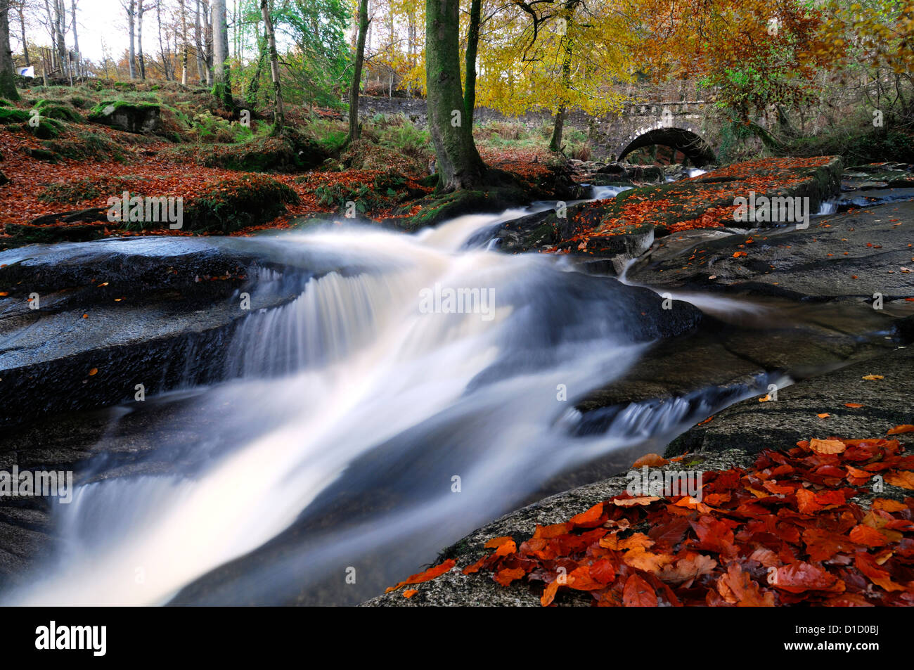 Cloghleagh River County Wicklow Ireland autumn fall color colour ...