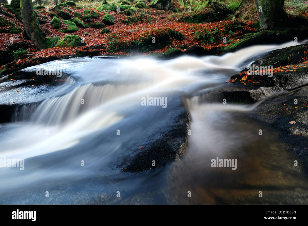 Cloghleagh River County Wicklow Ireland autumn fall color colour ...