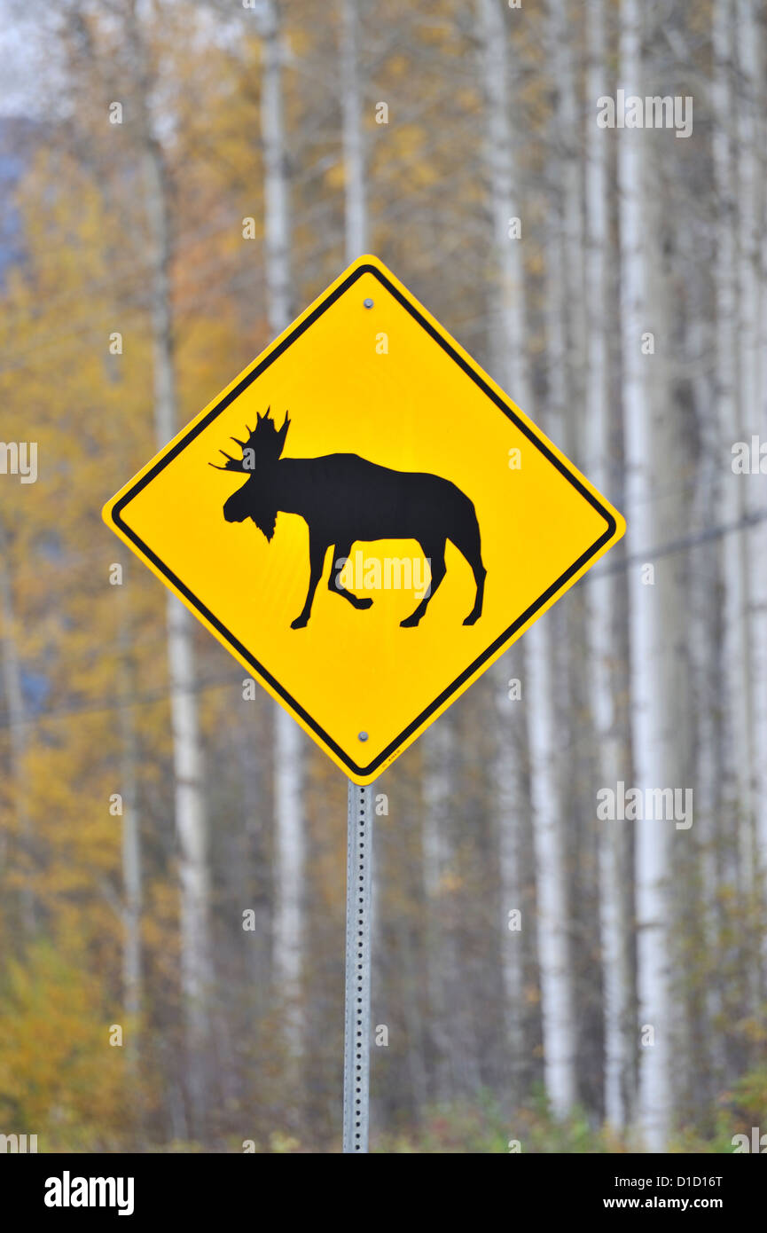 Warning sign, British Columbia, Canada Stock Photo - Alamy