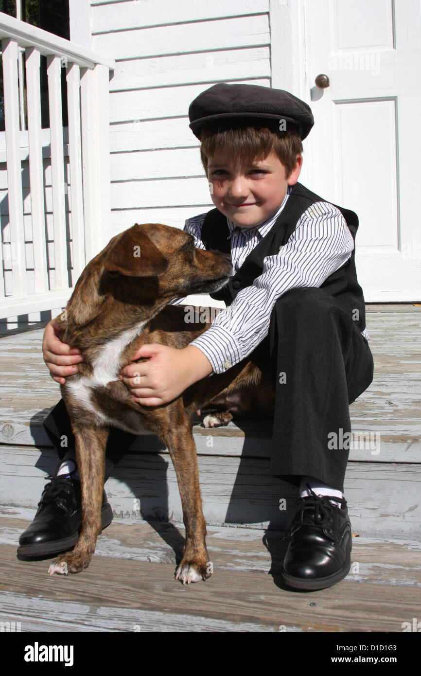 Old Dingo High Resolution Stock Photography and Images - Alamy