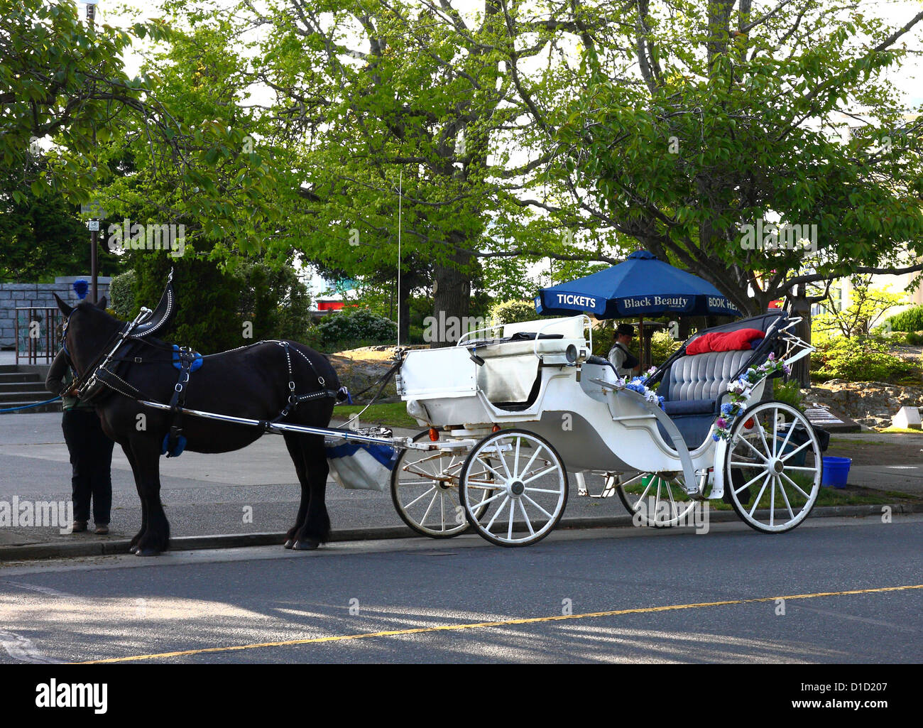 A tree and white buggy on a street by a ticket booth under a blue ...
