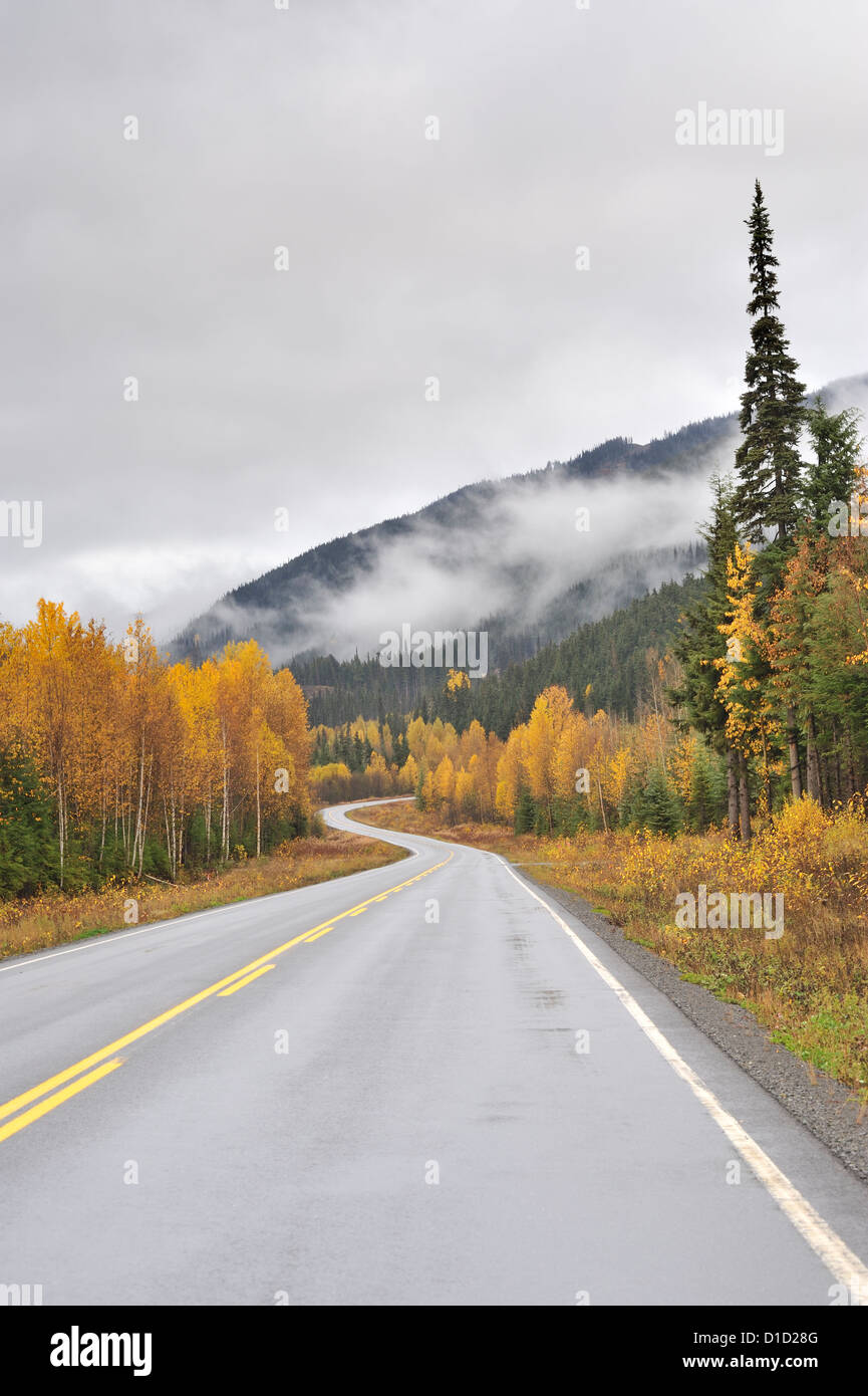 Stewart-Cassiar Highway 37 on a rainy day, British Columbia, Canada ...