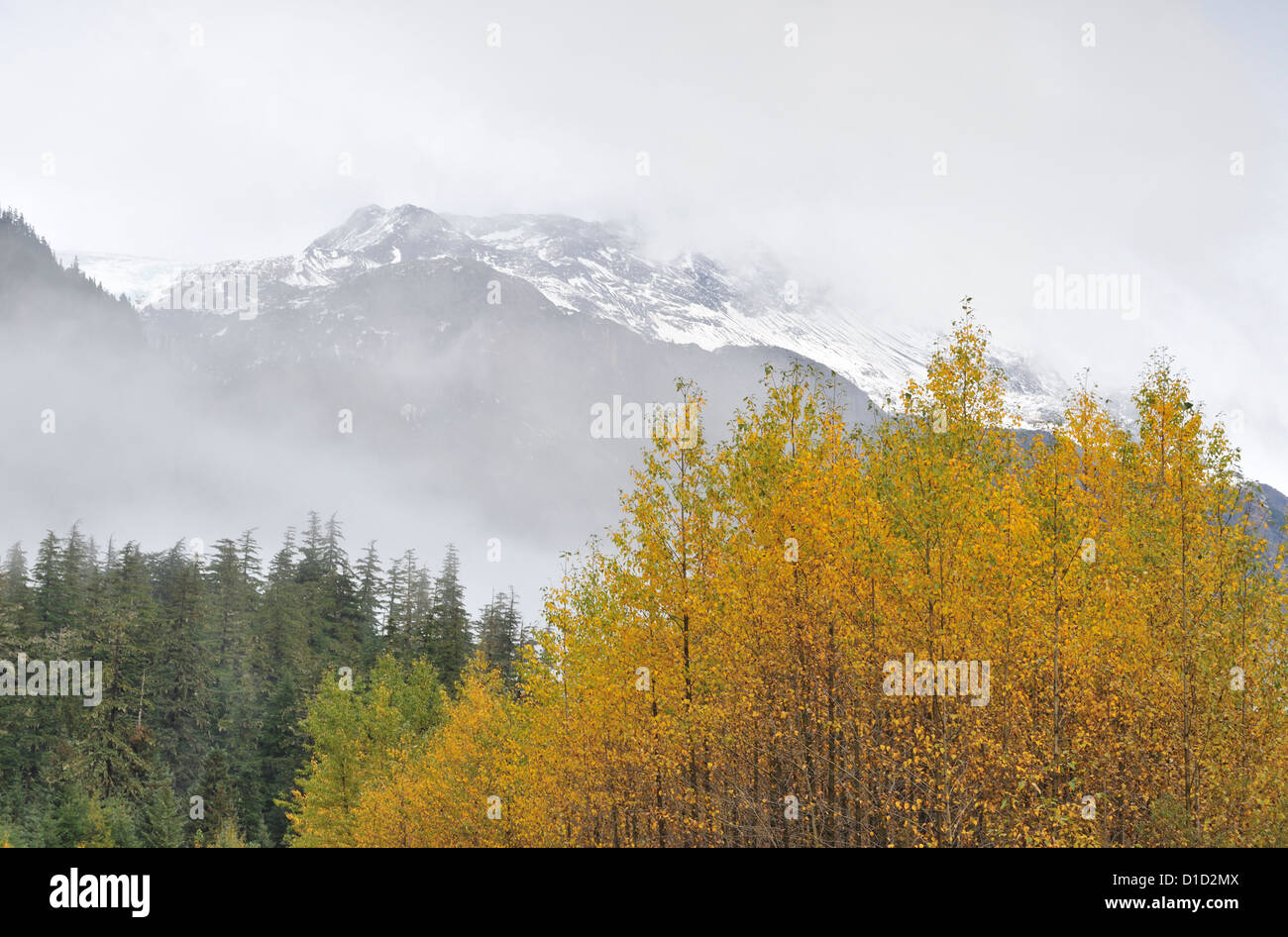 Stewart british columbia hi-res stock photography and images - Alamy