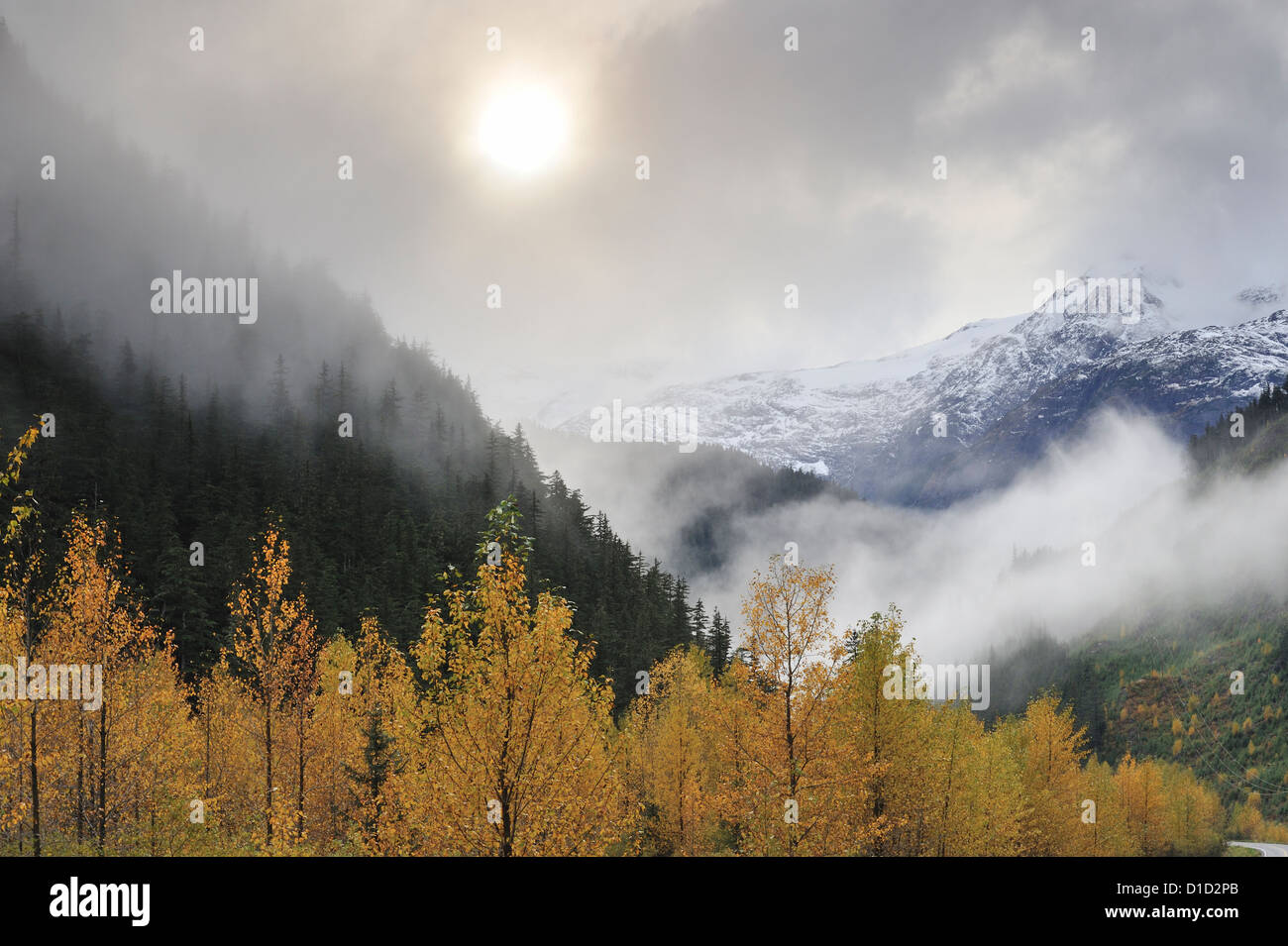 Stewart british columbia hi-res stock photography and images - Alamy