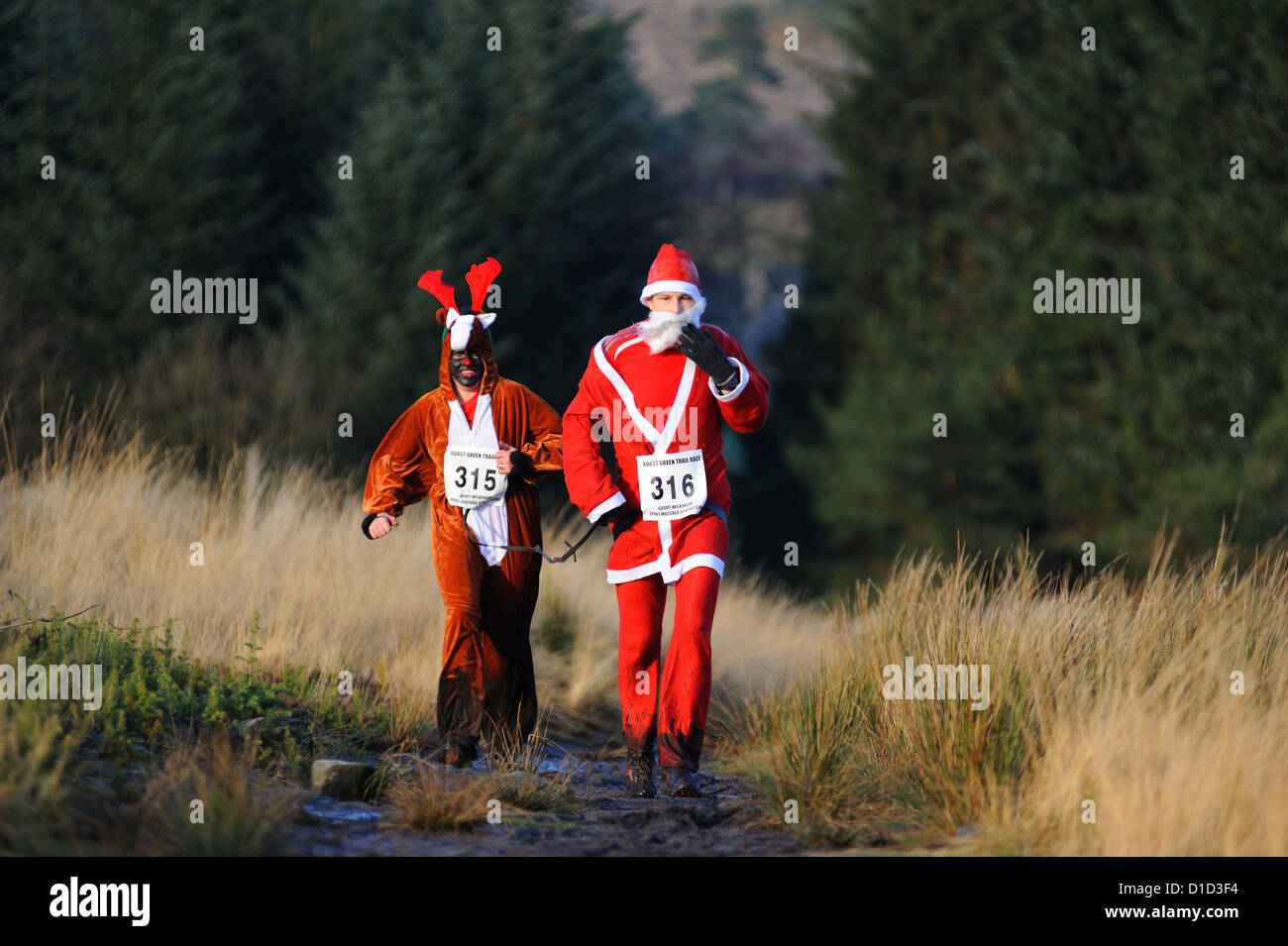 competitors in a christmas turkey trot trail race dressed as a reindeer ...