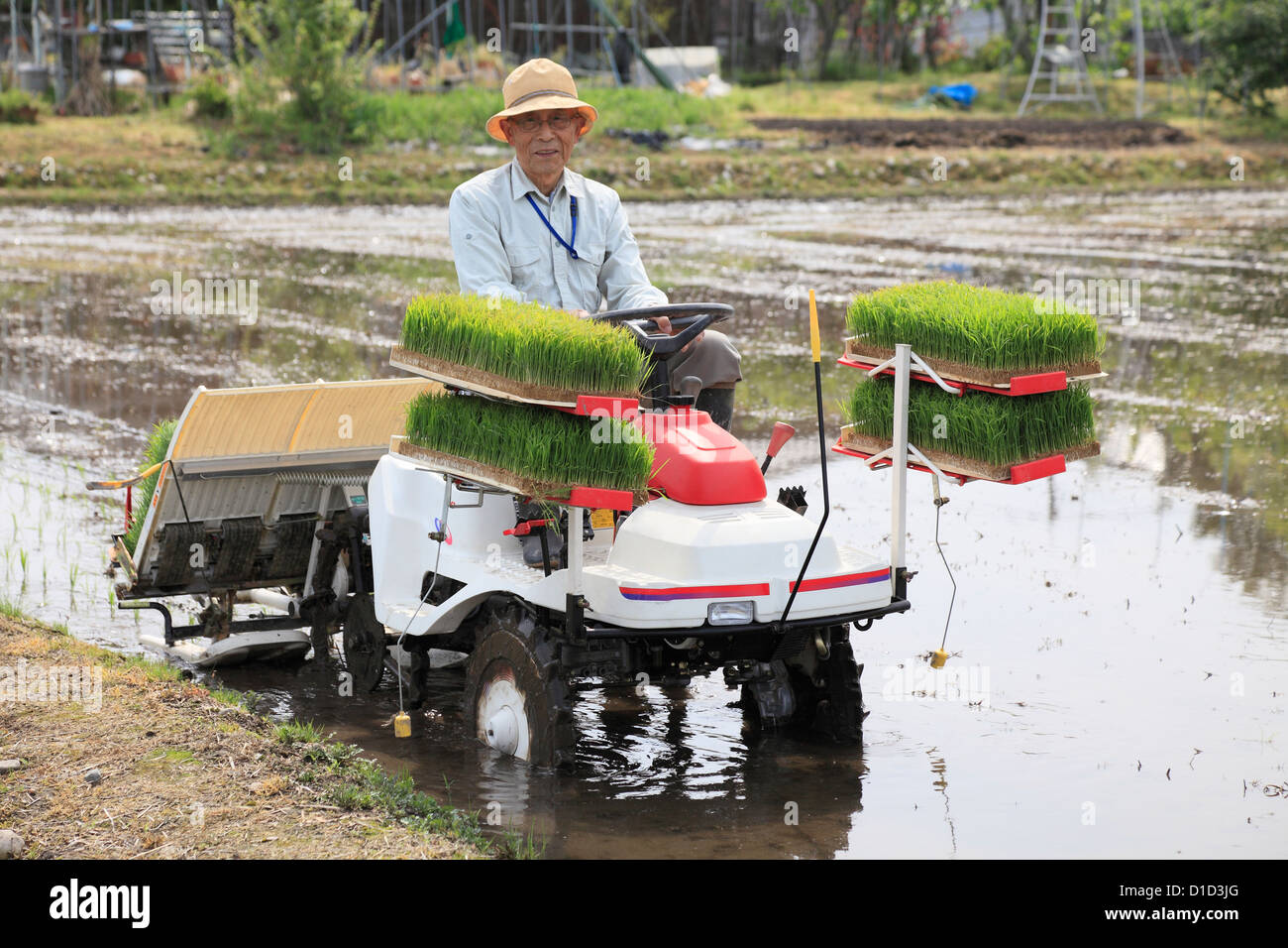 Farmer Rice Planting with Rice Planter Stock Photo - Alamy