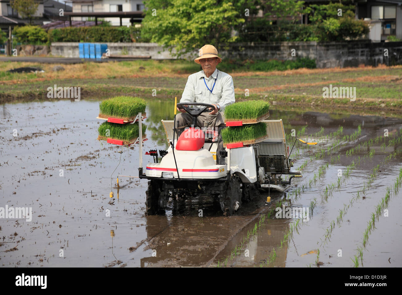 Japan rice planting spring hi-res stock photography and images - Alamy