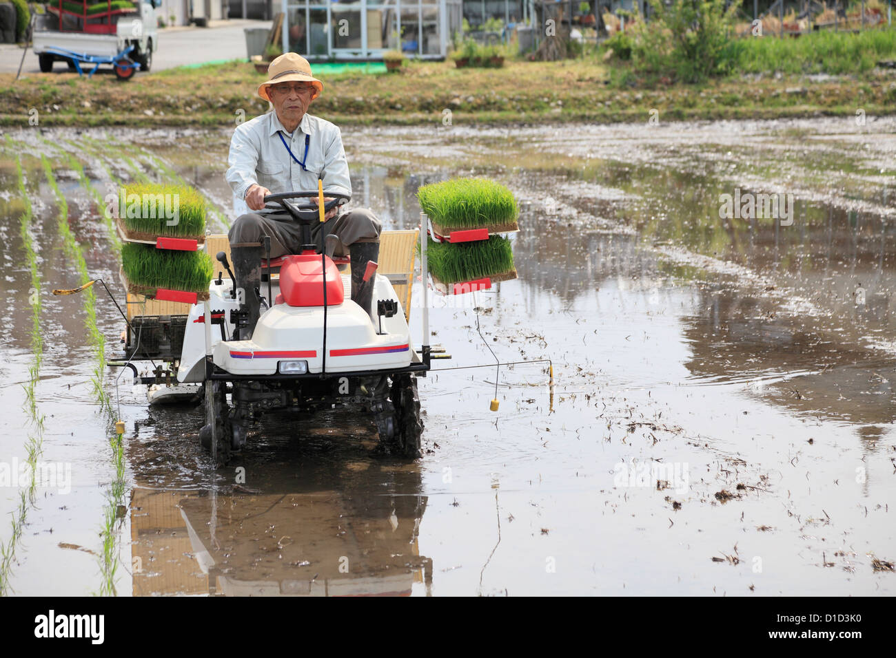 Farmer Rice Planting with Rice Planter Stock Photo - Alamy