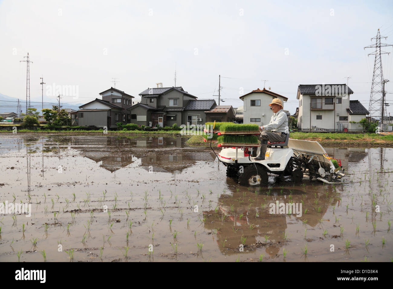 Farmer Rice Planting with Rice Planter Stock Photo - Alamy