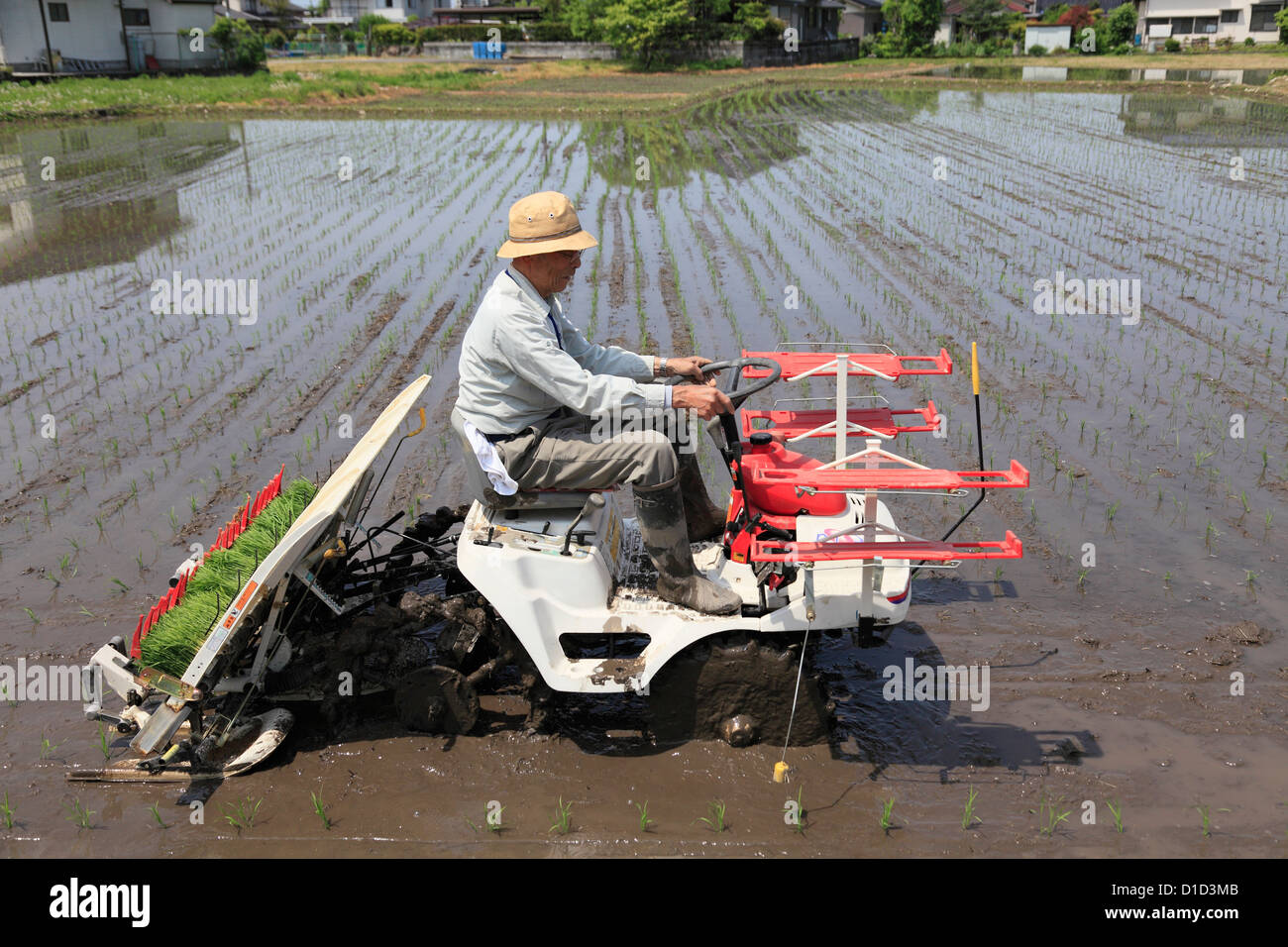 Farmer Rice Planting with Rice Planter Stock Photo - Alamy