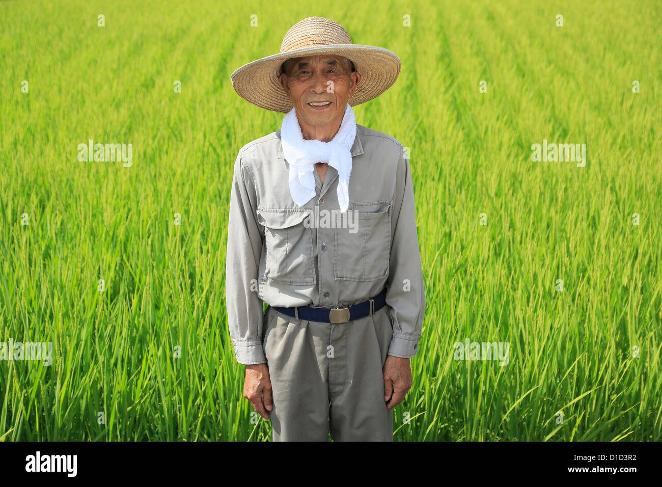 Farmer in japan harvesting rice hi-res stock photography and images - Alamy