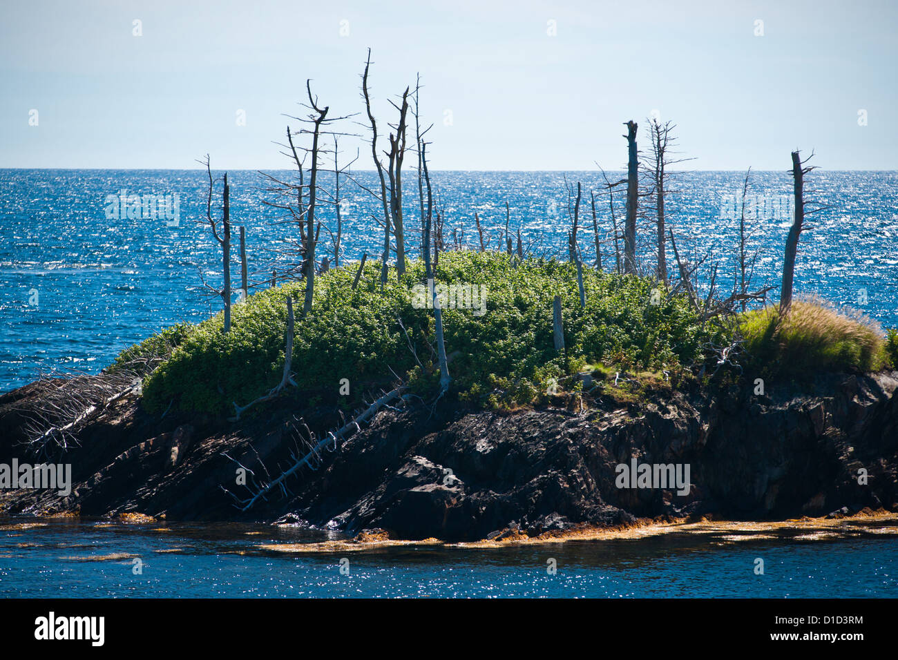 One of the Foggy Islands viewed from West Ironbound Island, Nova Scotia ...