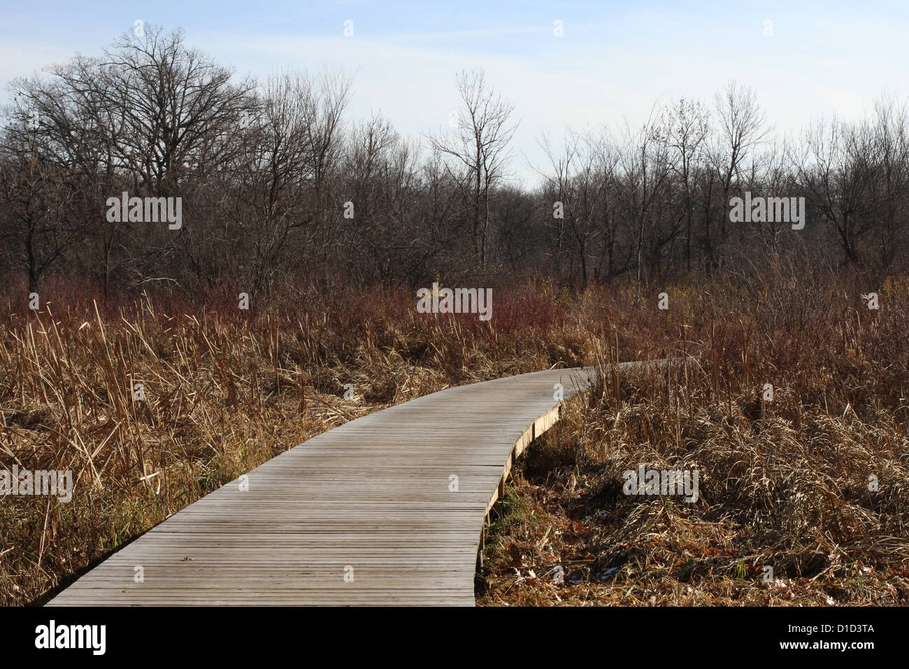 Raised boardwalk on walking hi-res stock photography and images - Alamy
