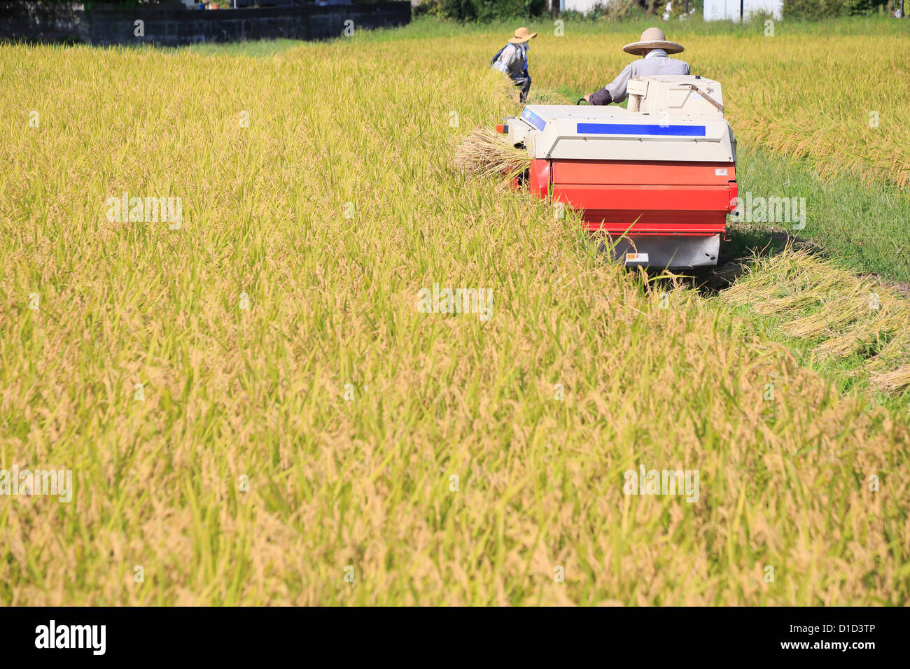 Japan farmer harvesting rice combine hi-res stock photography and ...