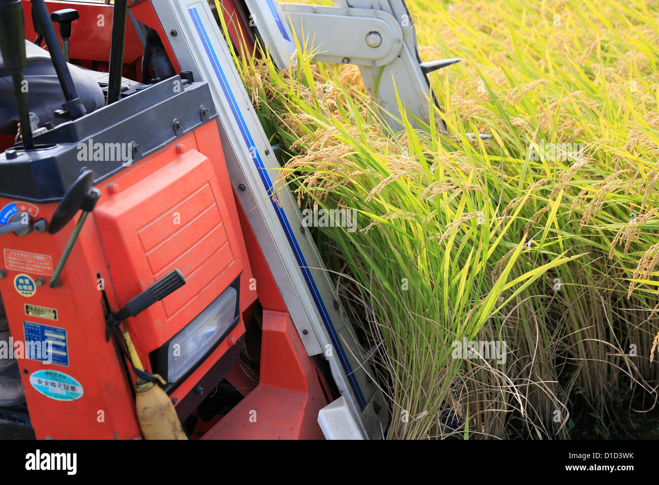 Combine Harvesting Rice Stock Photo - Alamy