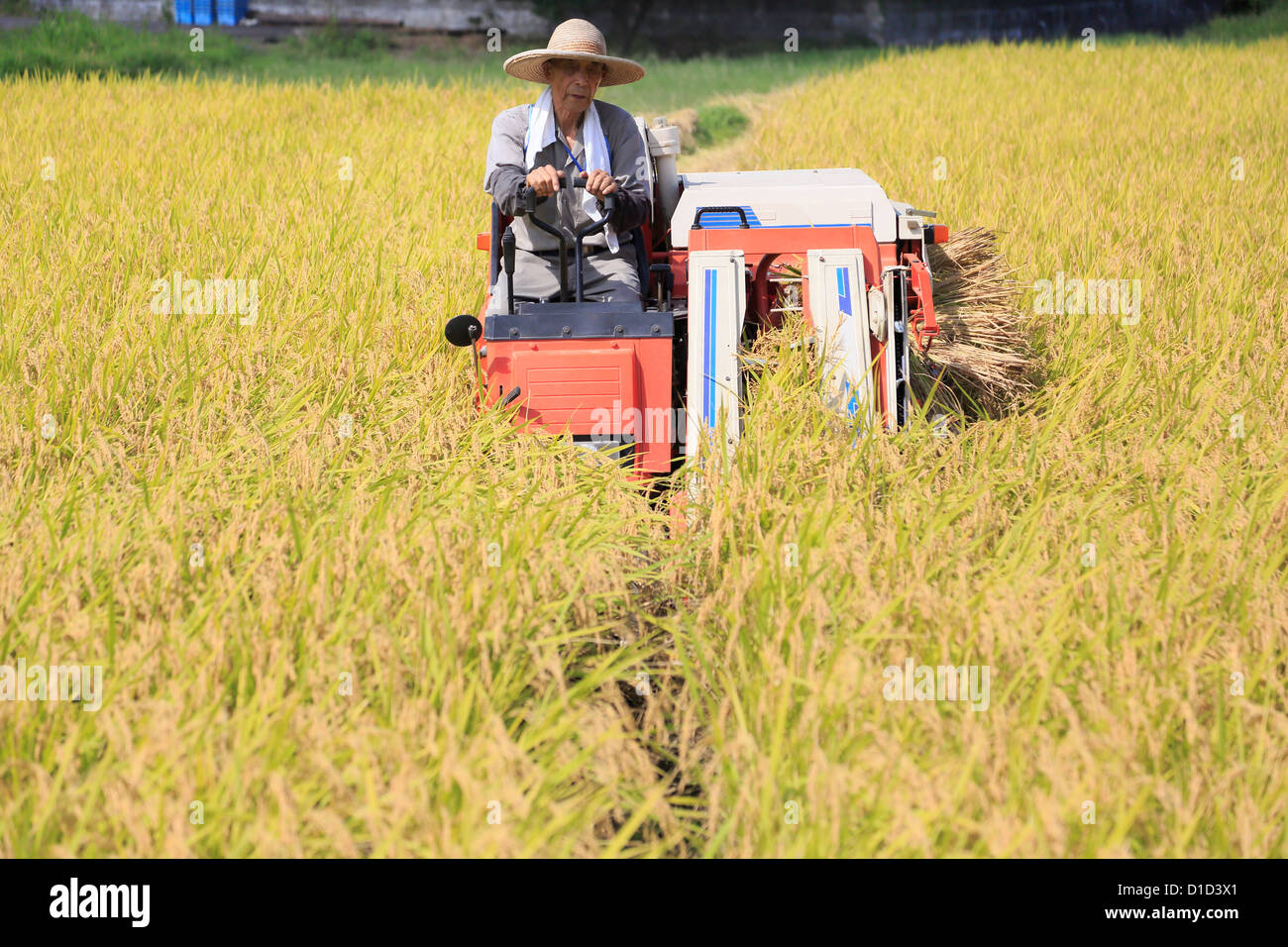 Japan farmer harvesting rice combine hi-res stock photography and ...