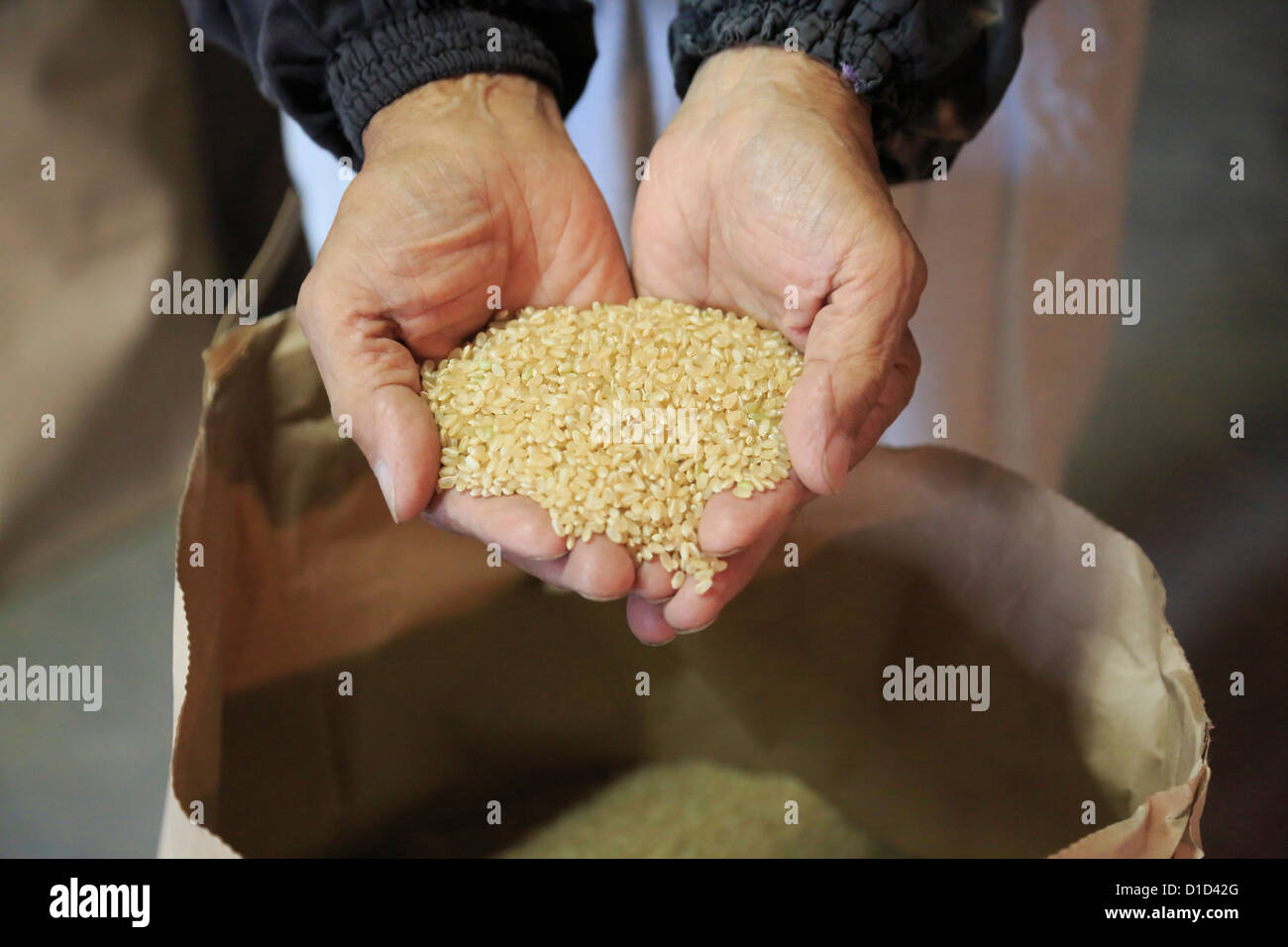 Human hands holding rice hi-res stock photography and images - Alamy