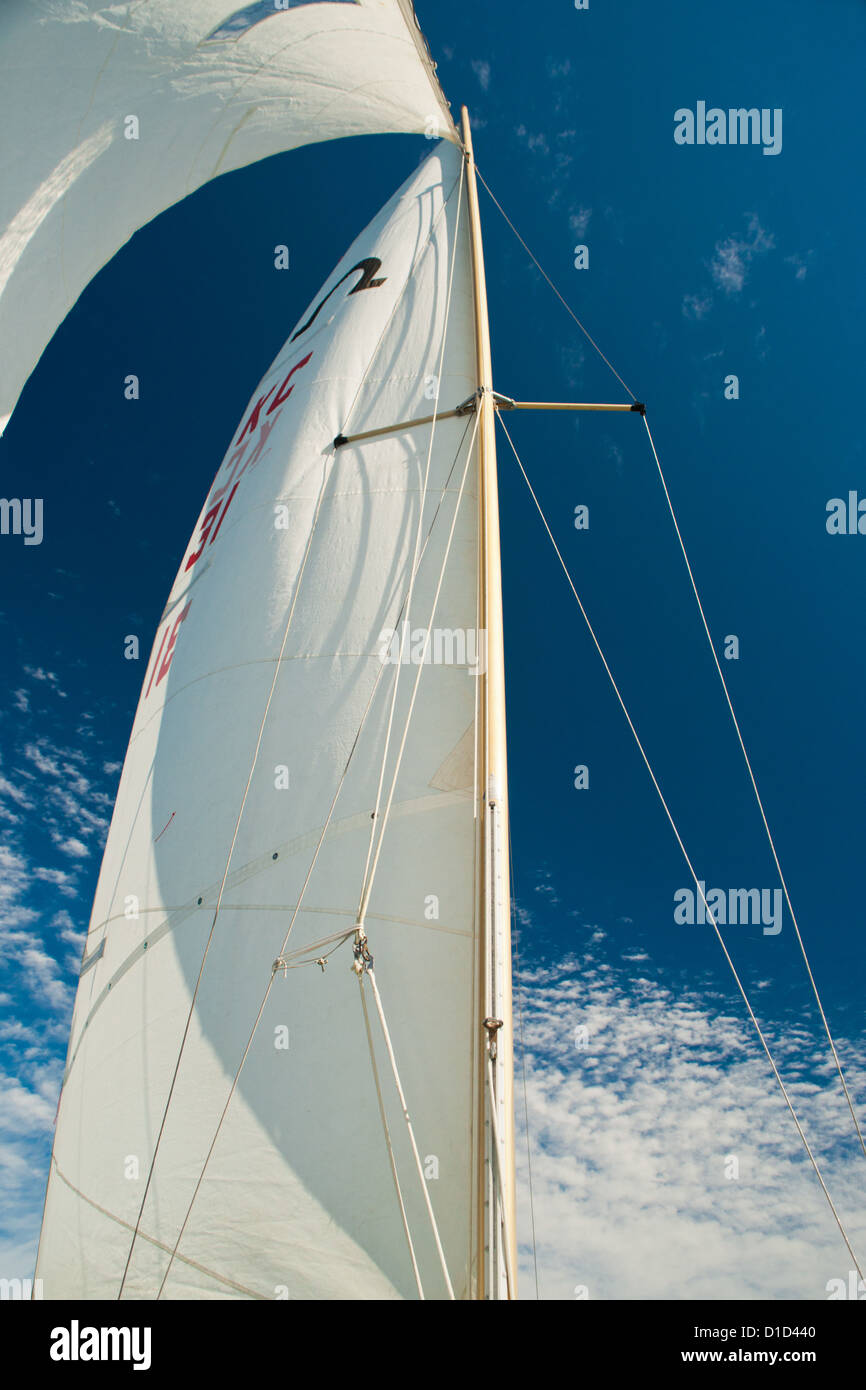 Looking up the mast and main sail of a Soling class sailboat Stock ...