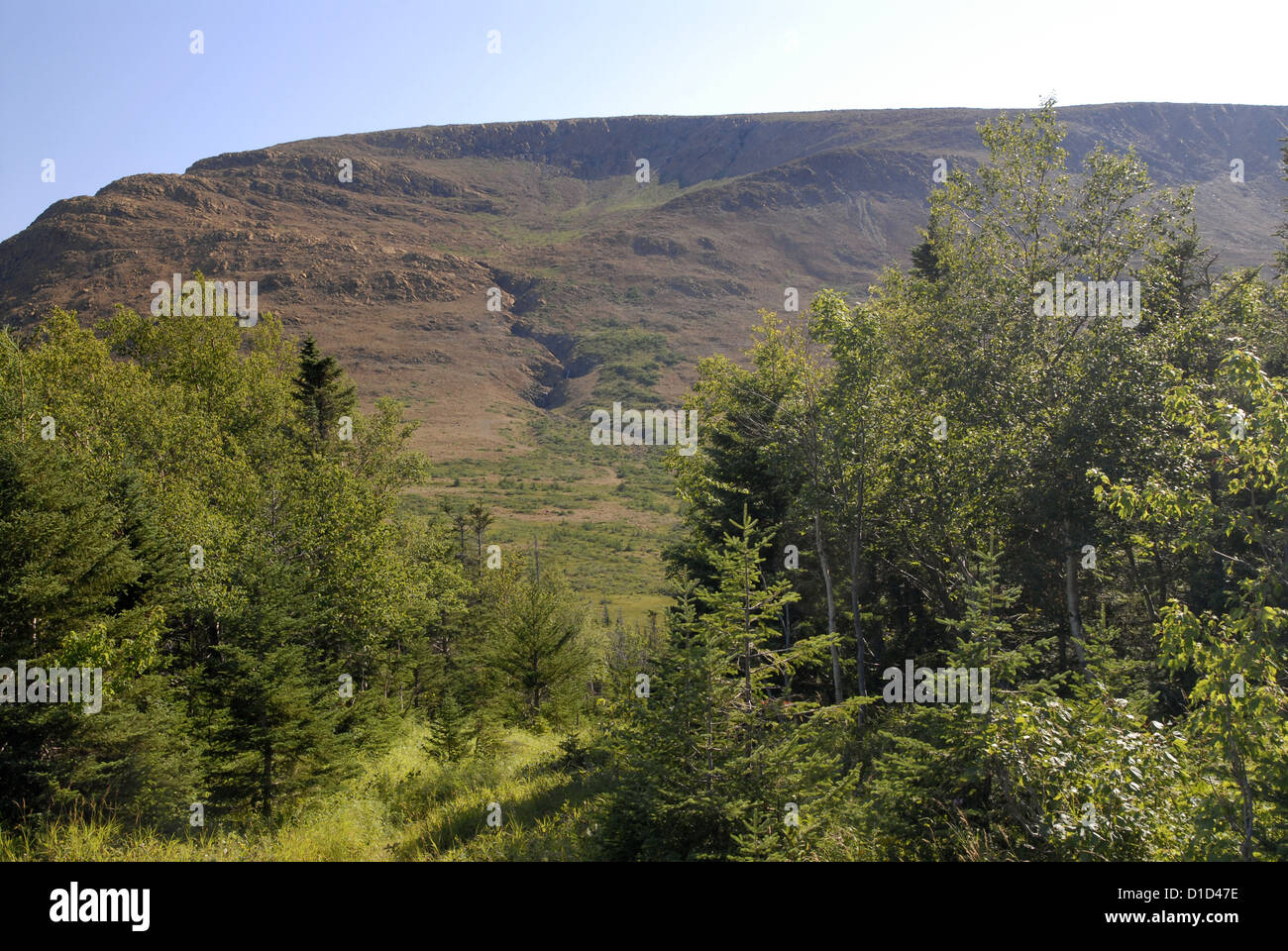 Newfoundland tablelands hi-res stock photography and images - Alamy