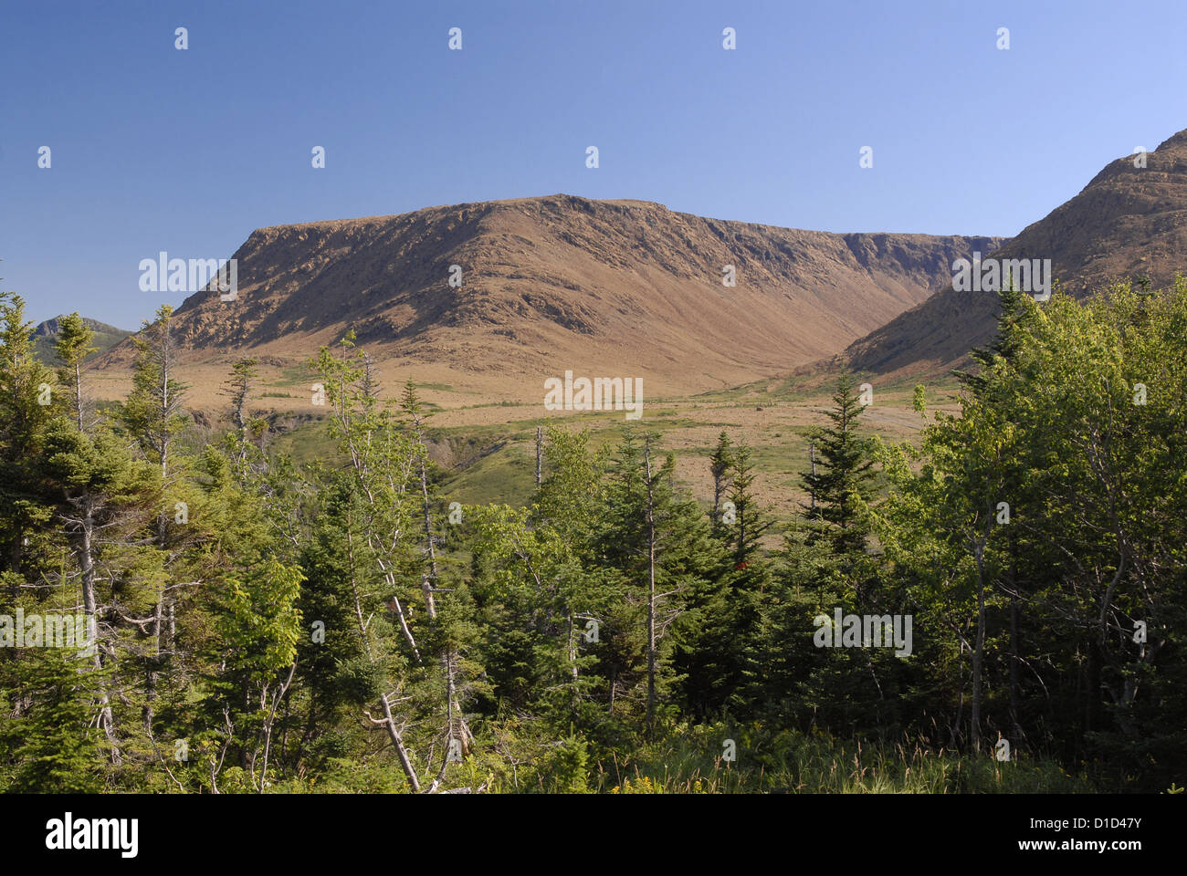 Newfoundland tablelands hi-res stock photography and images - Alamy