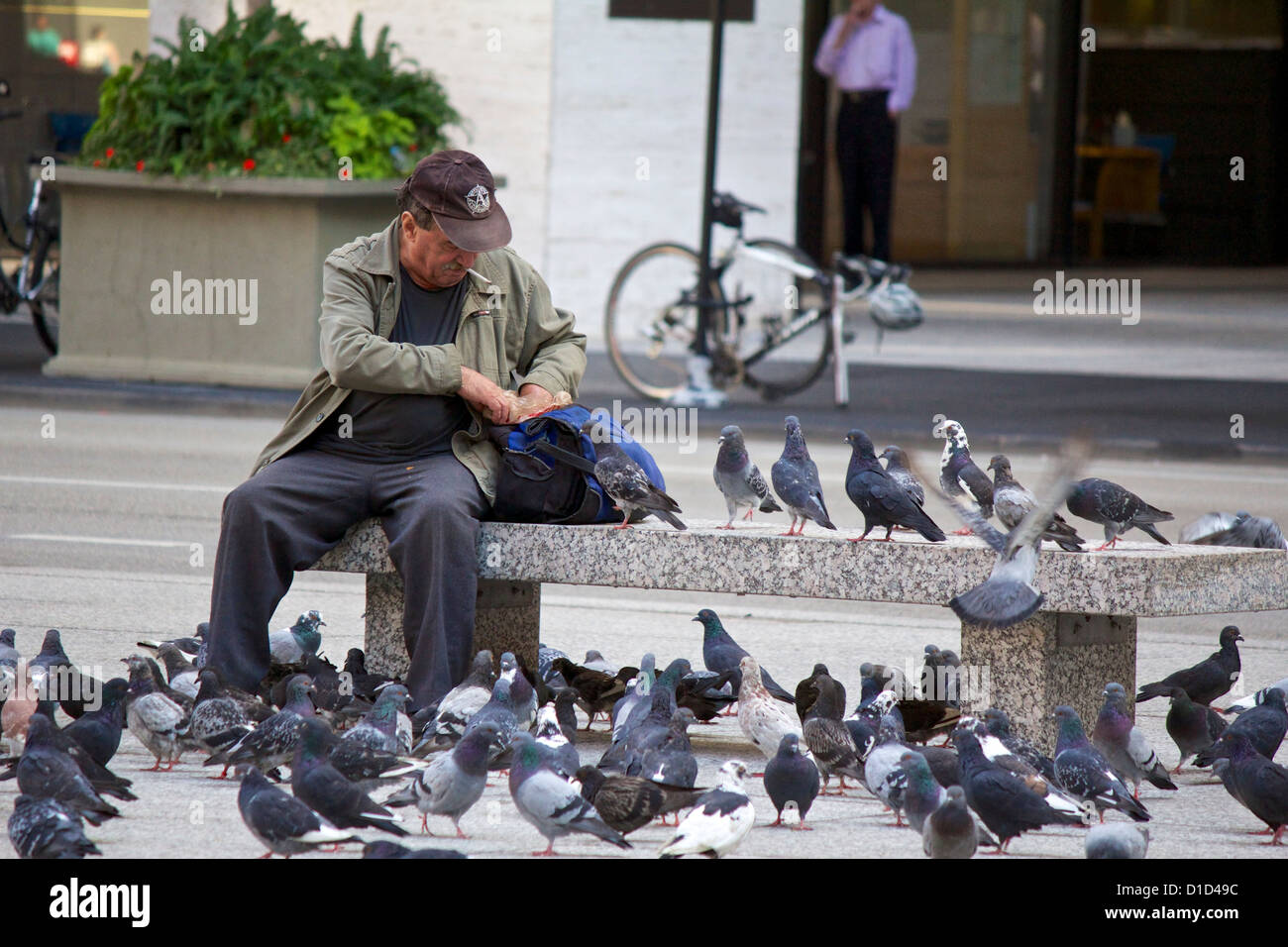Man feeding pigeons. Daley Plaza, Chicago, Illinois Stock Photo - Alamy